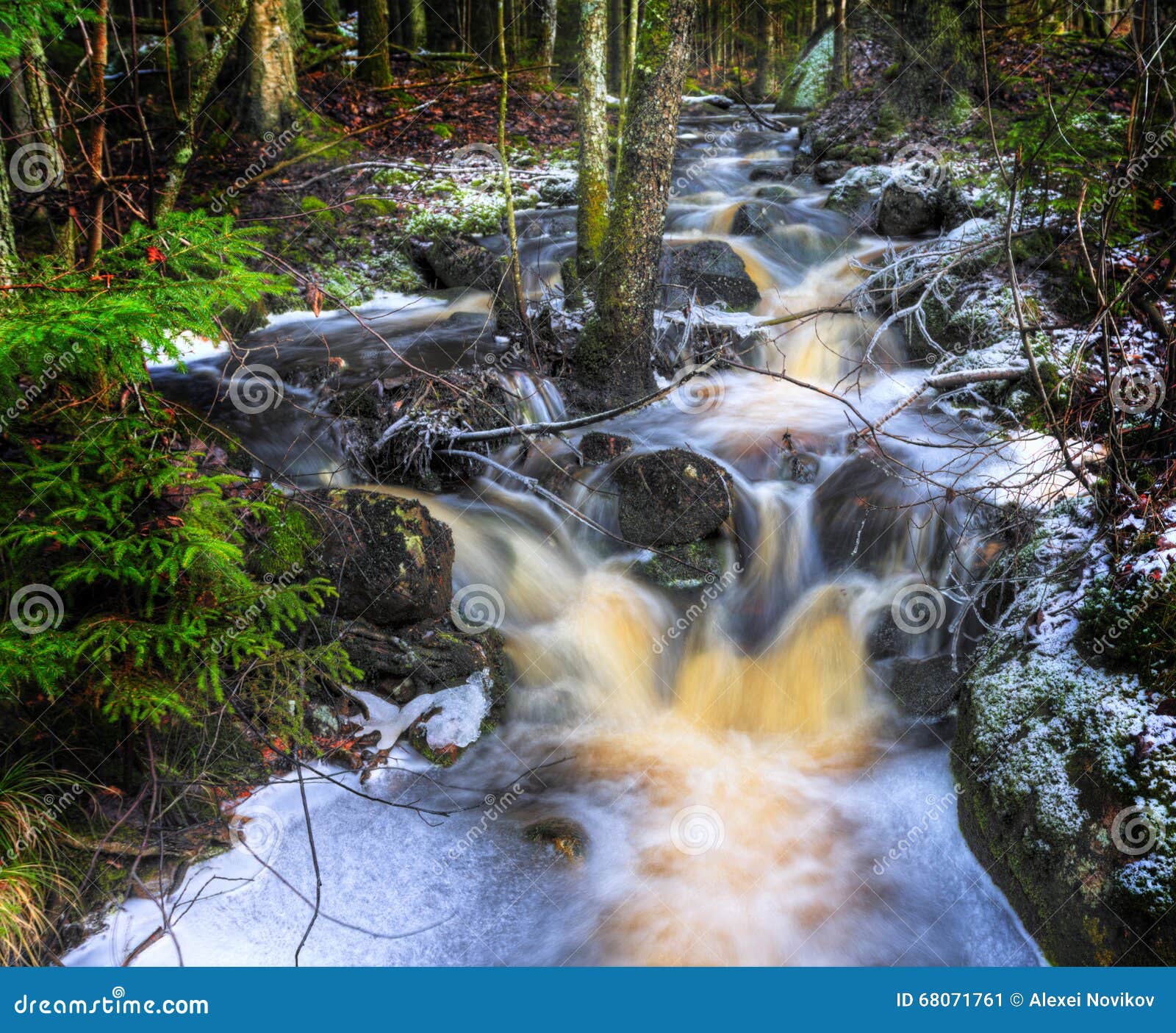 Verzauberter Nebenfluss Im Dunklen Holz Stockbild - Bild von park, bild ...