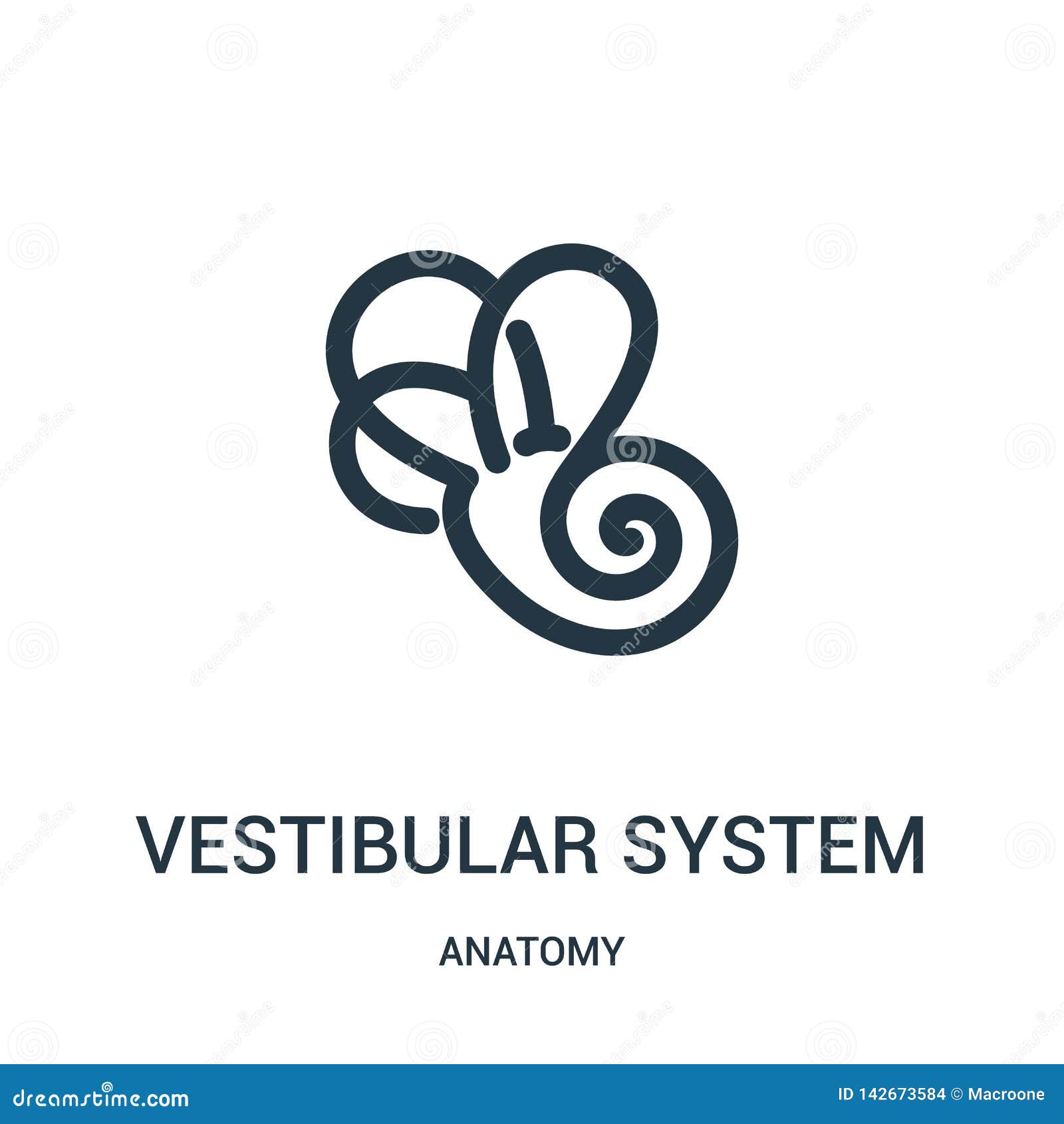 Vestibular System Icon Vector from Anatomy Collection. Thin Line ... Vestibular System Icon Vector from Anatomy Collection. Thin Line ...
