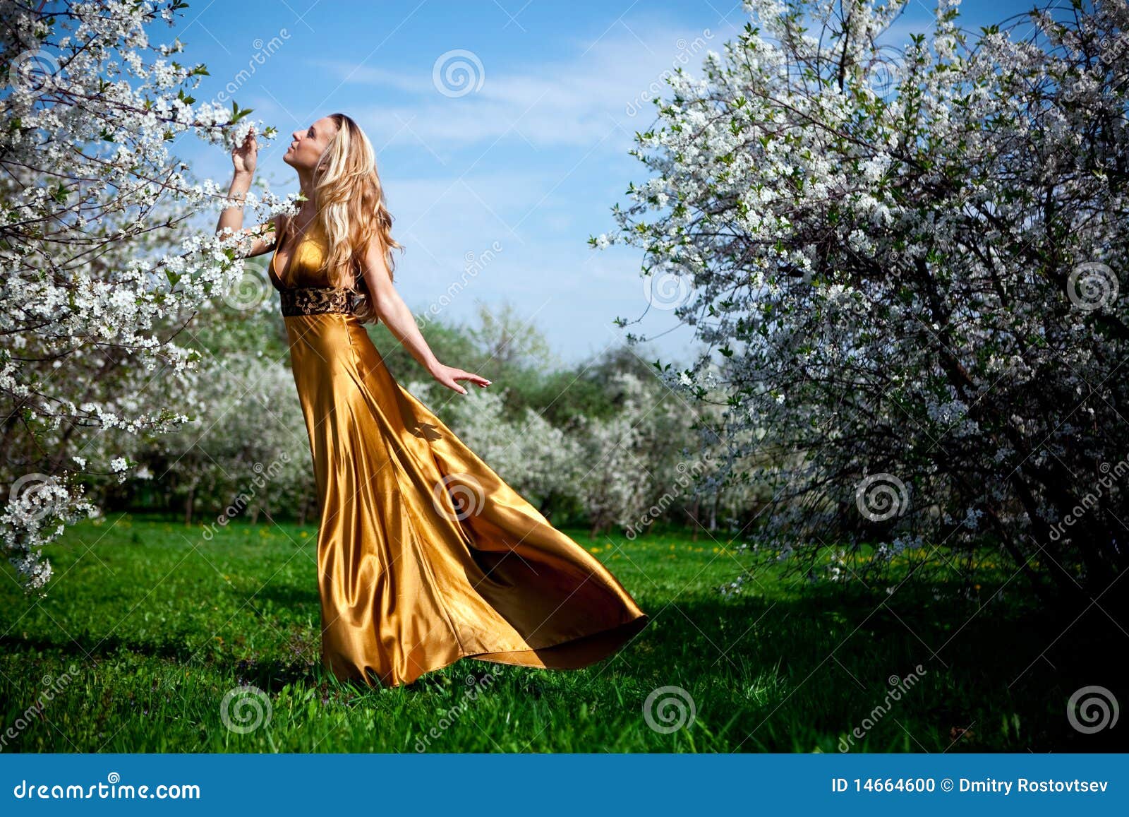 Vestito dall'oro fotografia stock. Immagine di stagione - 14664600 Vestito dall'oro fotografia stock. Immagine di stagione - 14664600