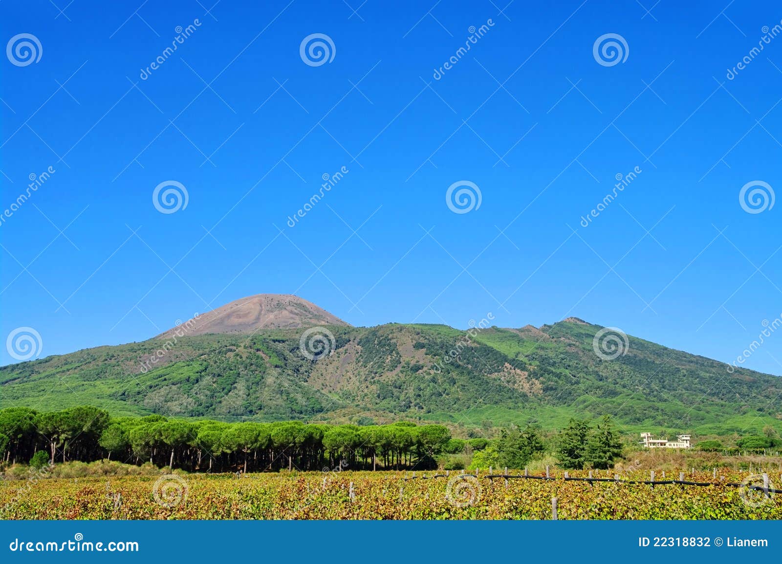 Vesuv stock photo. Image of tree, tourism, crater, landmark - 22318832