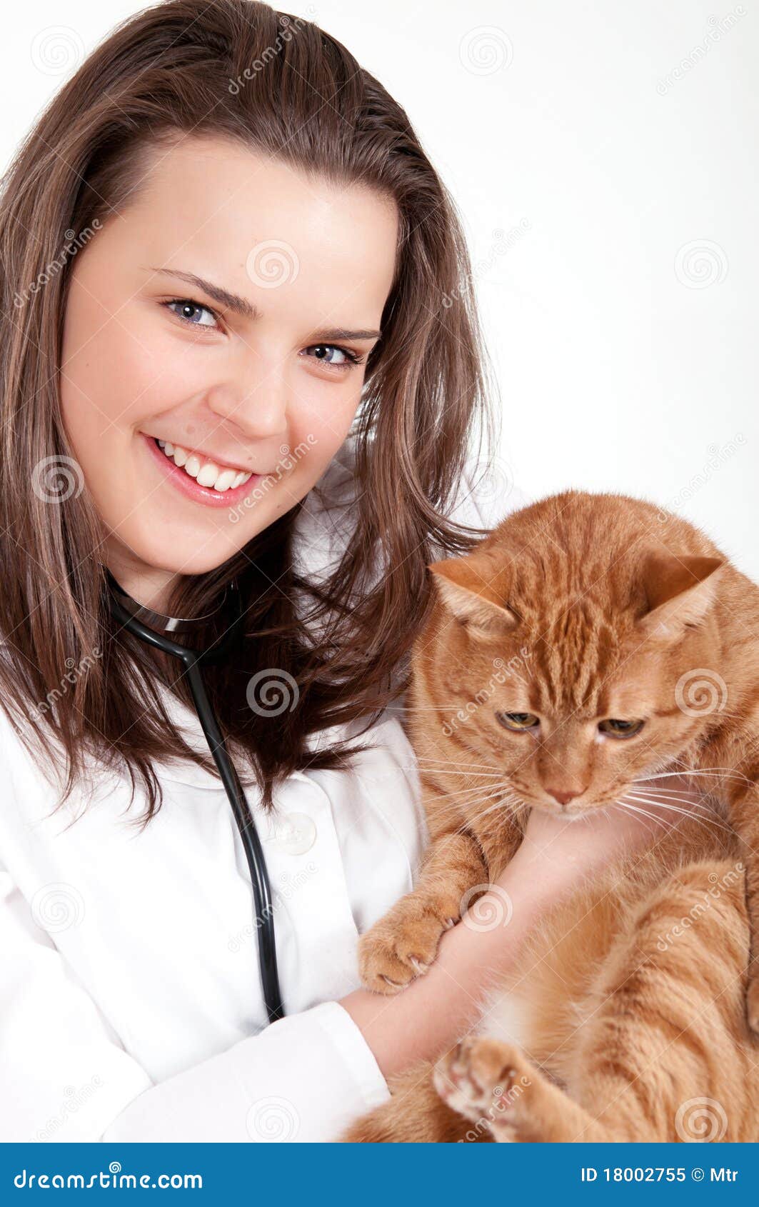 Vet and cat stock image. Image of medicine, laboratory - 18002755
