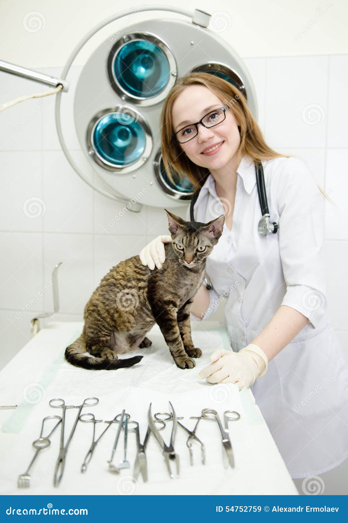 Vet with Cat in a Doctor S Surgery Stock Image - Image of medic ...