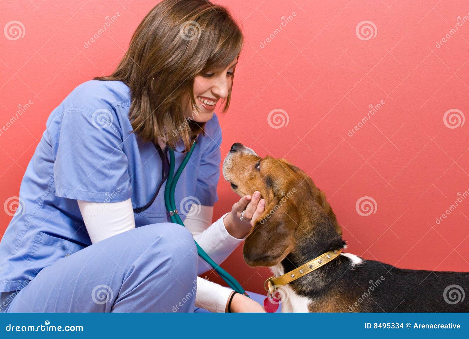 Vet Checkup stock photo. Image of cute, girl, checkup - 8495334