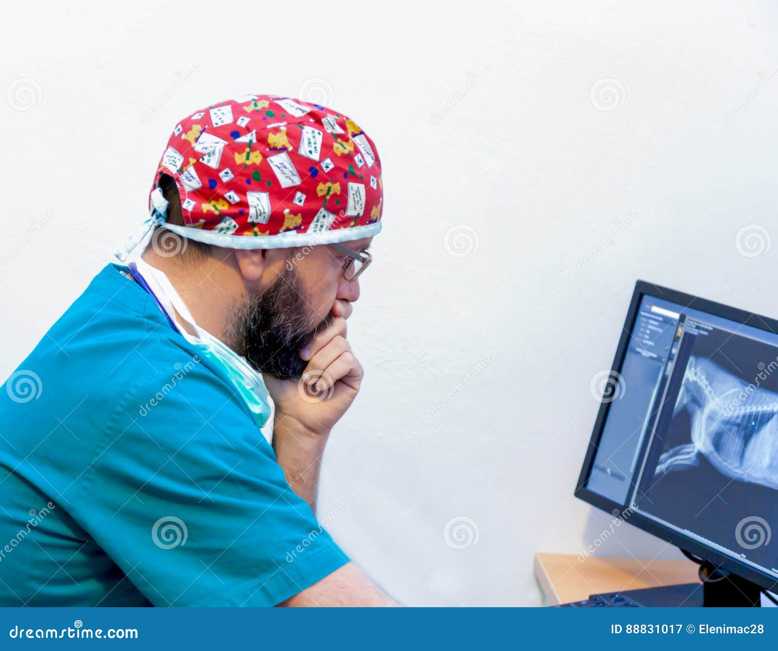 Vet on the Computer stock image. Image of clinic, chalk - 88831017