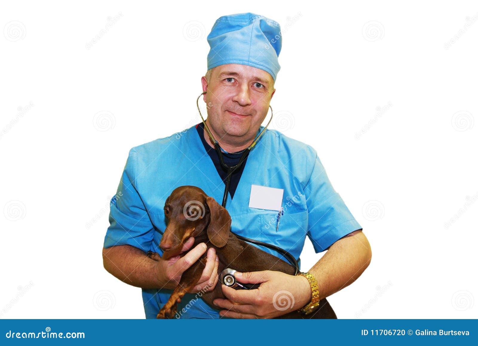 Vet and Dachshund. stock photo. Image of pets, health - 11706720
