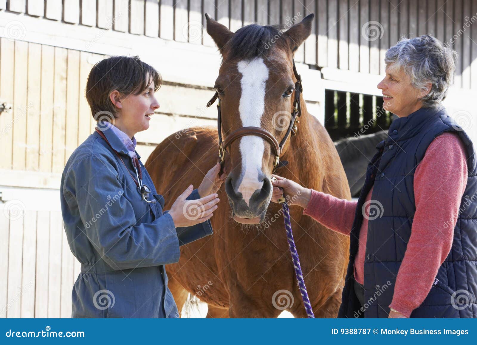 Vet in Discussion with Horse Owner Stock Image - Image of horizontal ...