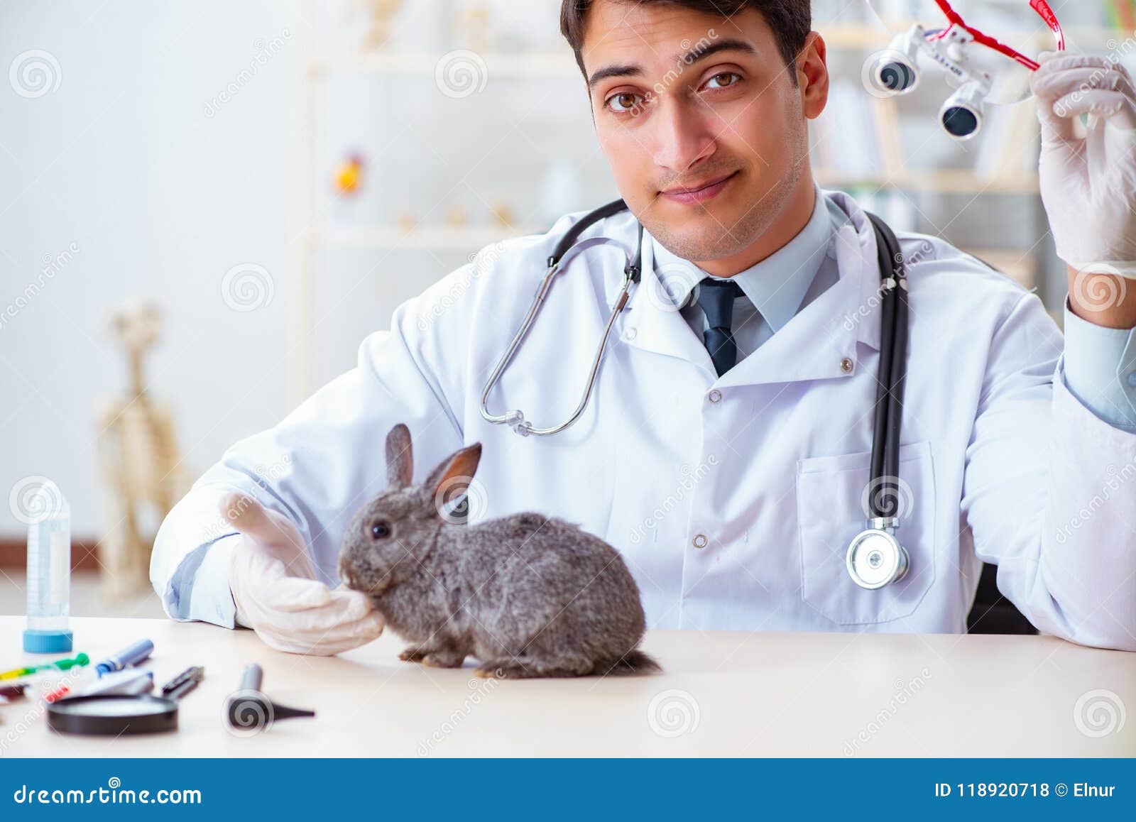 The Vet Doctor Checking Up Rabbit in His Clinic Stock Photo - Image of ...