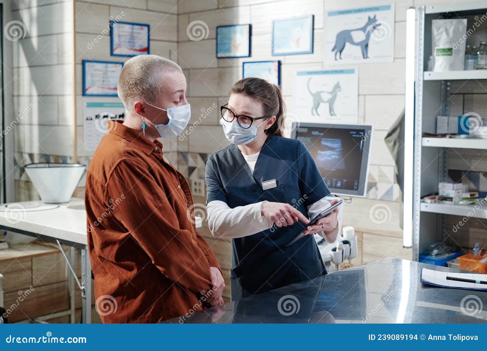 Vet Doctor Explaining Something To Client Stock Photo - Image of ...