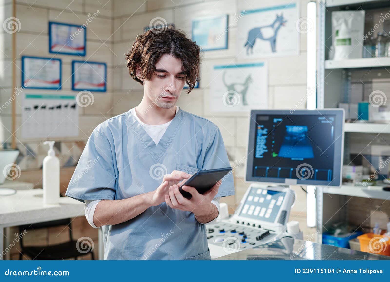 Vet Doctor Using Tablet Pc at Work Stock Photo - Image of veterinary ...