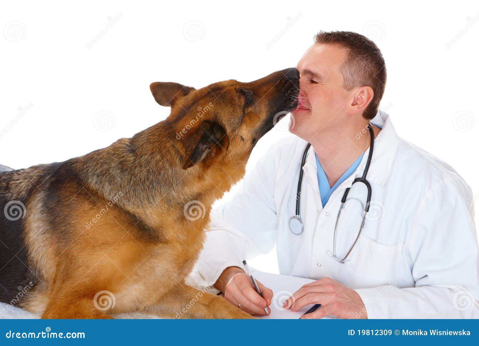 Vet with dog stock image. Image of checkup, isolated - 19812309