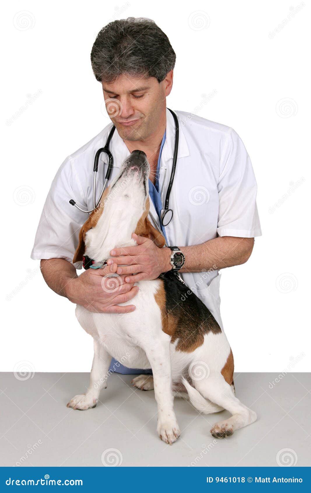 Vet and dog stock photo. Image of care, together, caring - 9461018