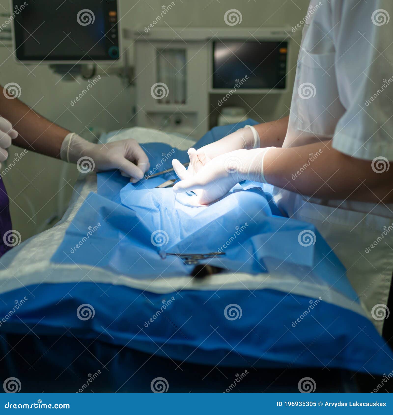 Vet Doing the Operation for Sterilization. the Cat on the Operating ...