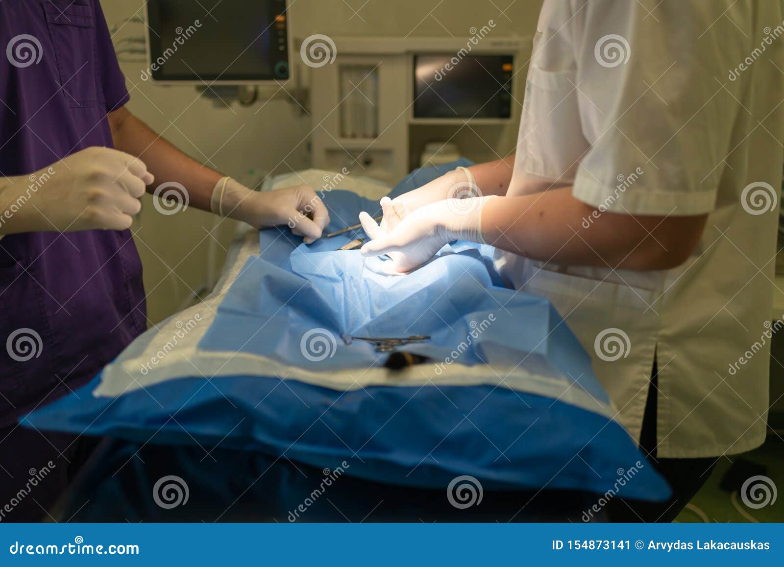 Vet Doing the Operation for Sterilization. the Cat on the Operating ...