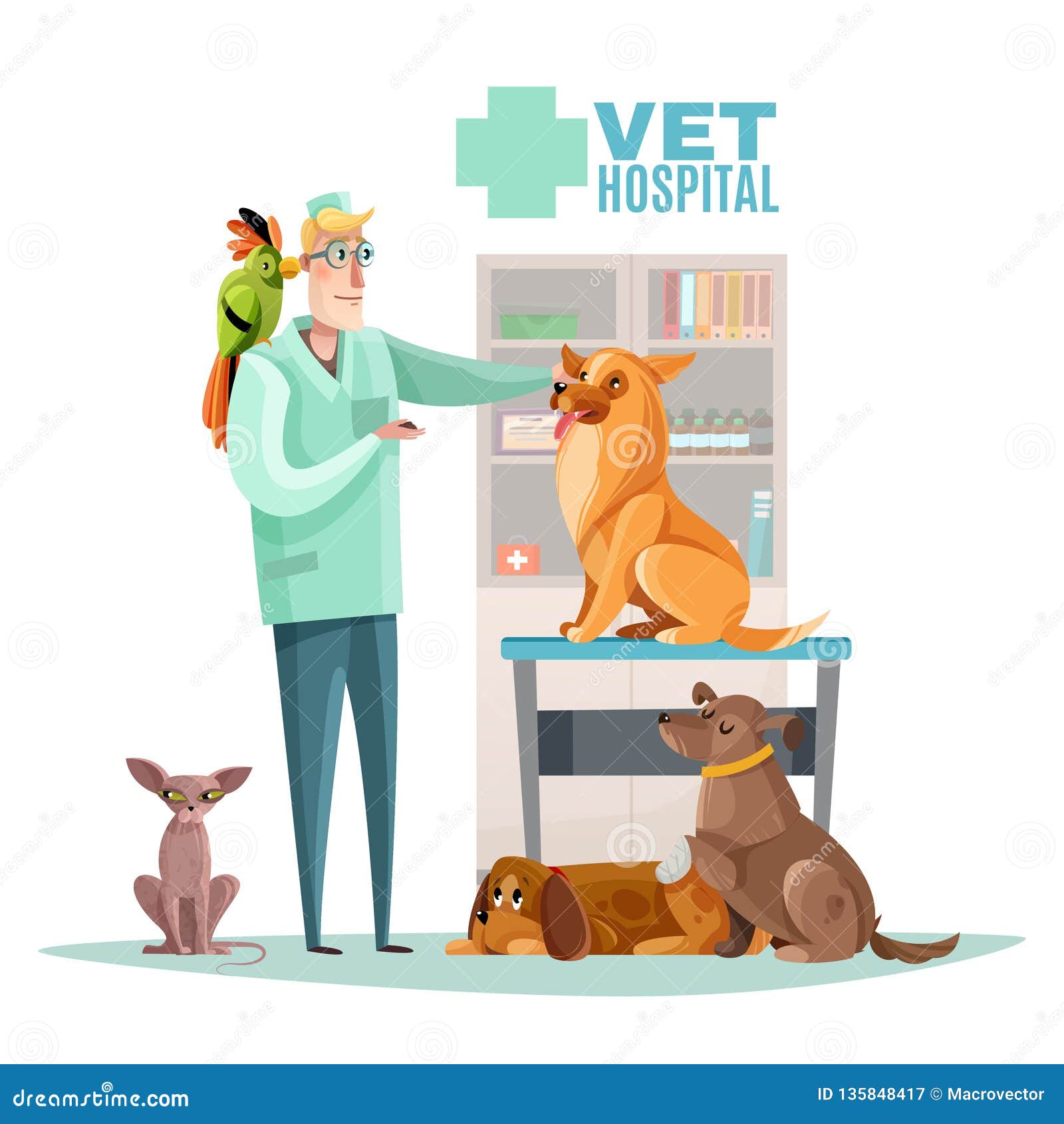 Vet Hospital Pets Illustration Stock Vector - Illustration of kitty ...