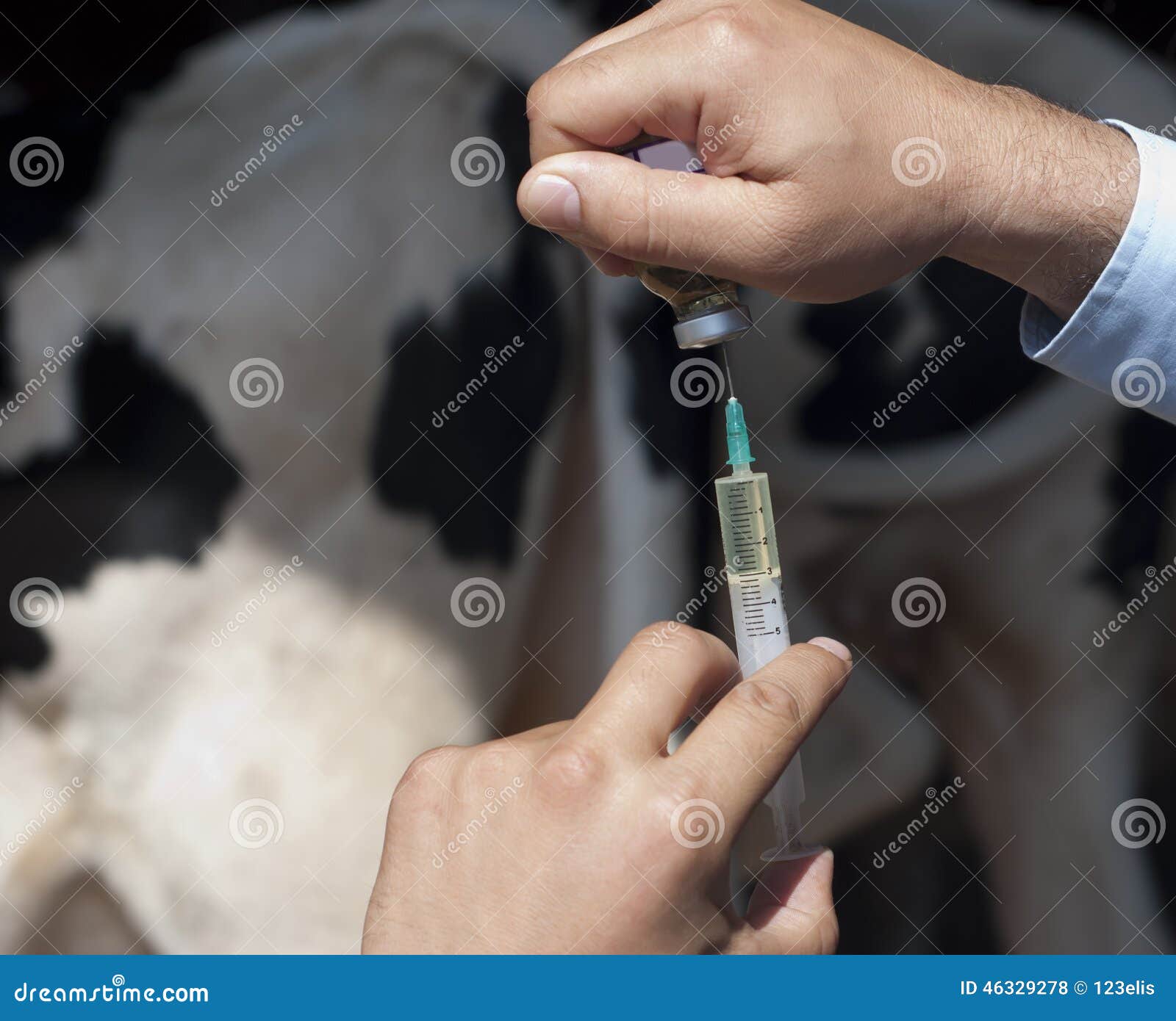 Vet stock photo. Image of medicine, dairy, animals, farmer - 46329278