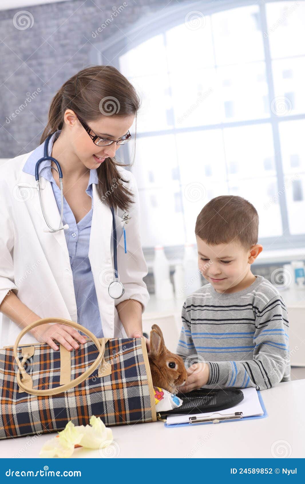Vet and Kid Taking Rabbit Out of Carrier Stock Photo - Image of animal ...