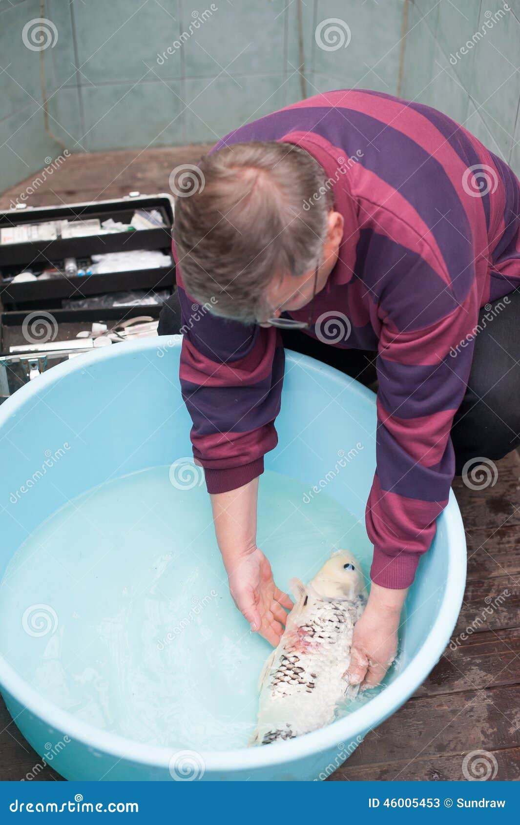 Vet with koi fish stock image. Image of holding, clinic - 46005453