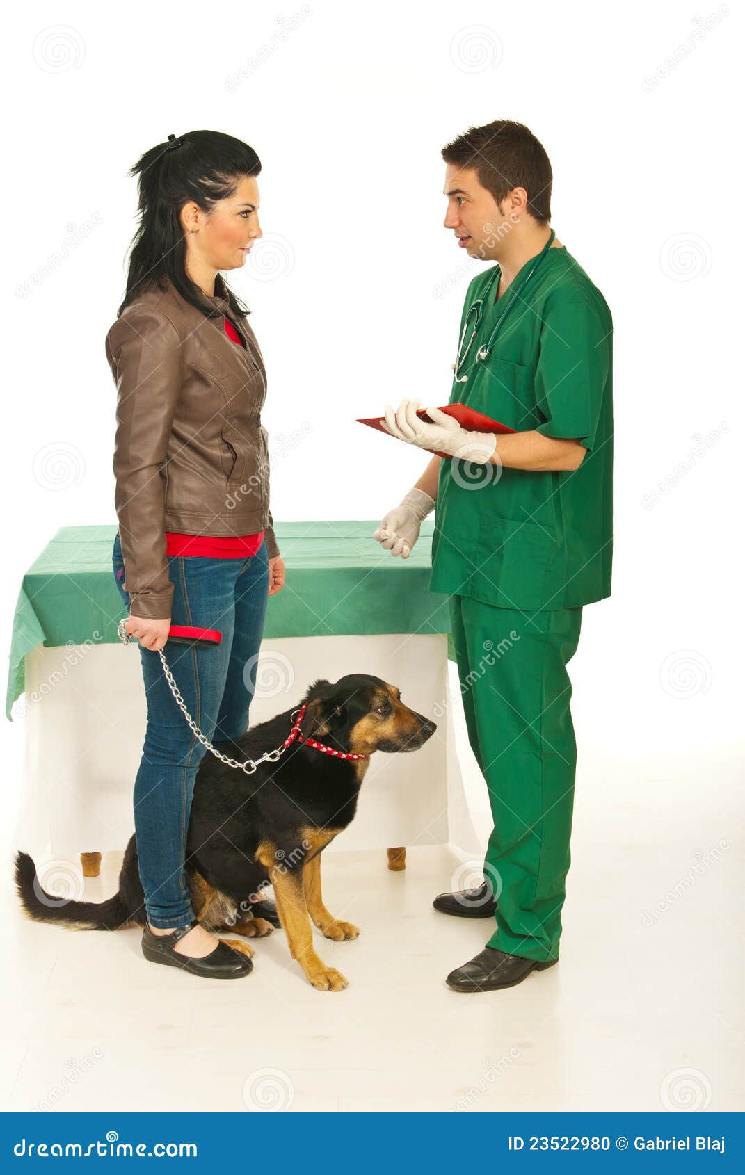 Vet Man Explaining Owner Treatment Stock Photo - Image of discussion ...