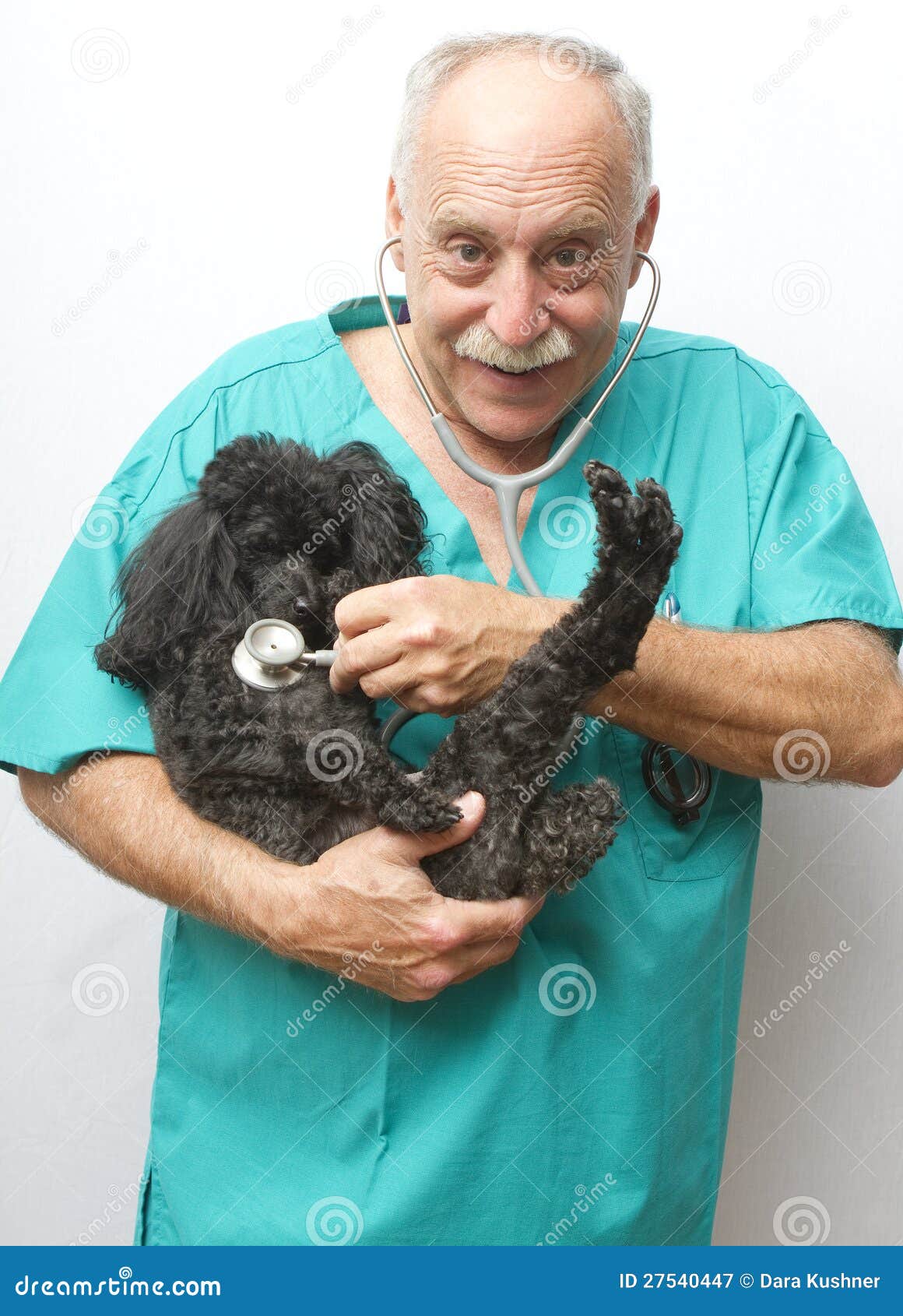 Vet and Patient stock image. Image of medicine, vertical - 27540447
