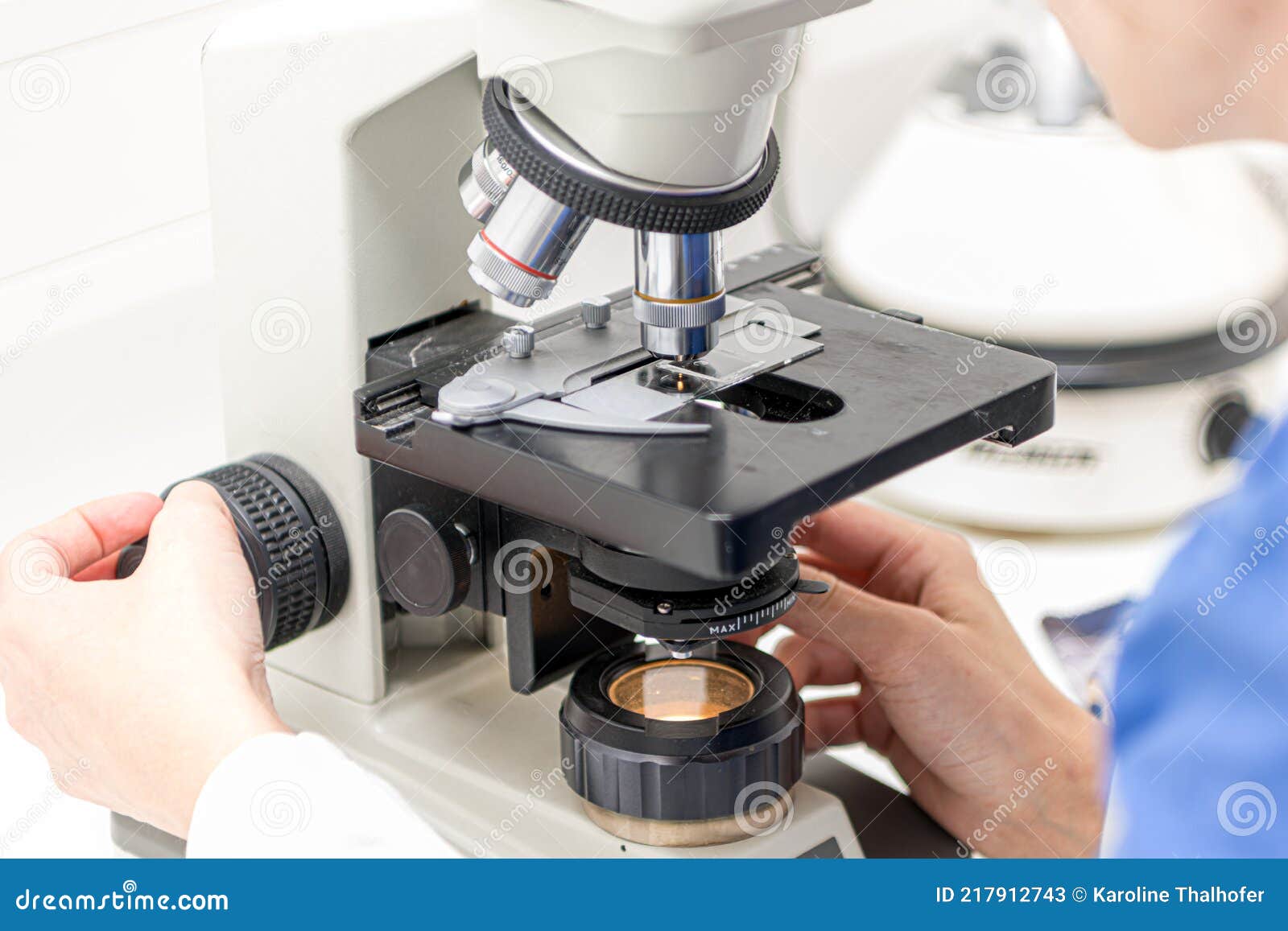 Vet Puts a Sample Under the Microscope and Examines for Pathogenic ...