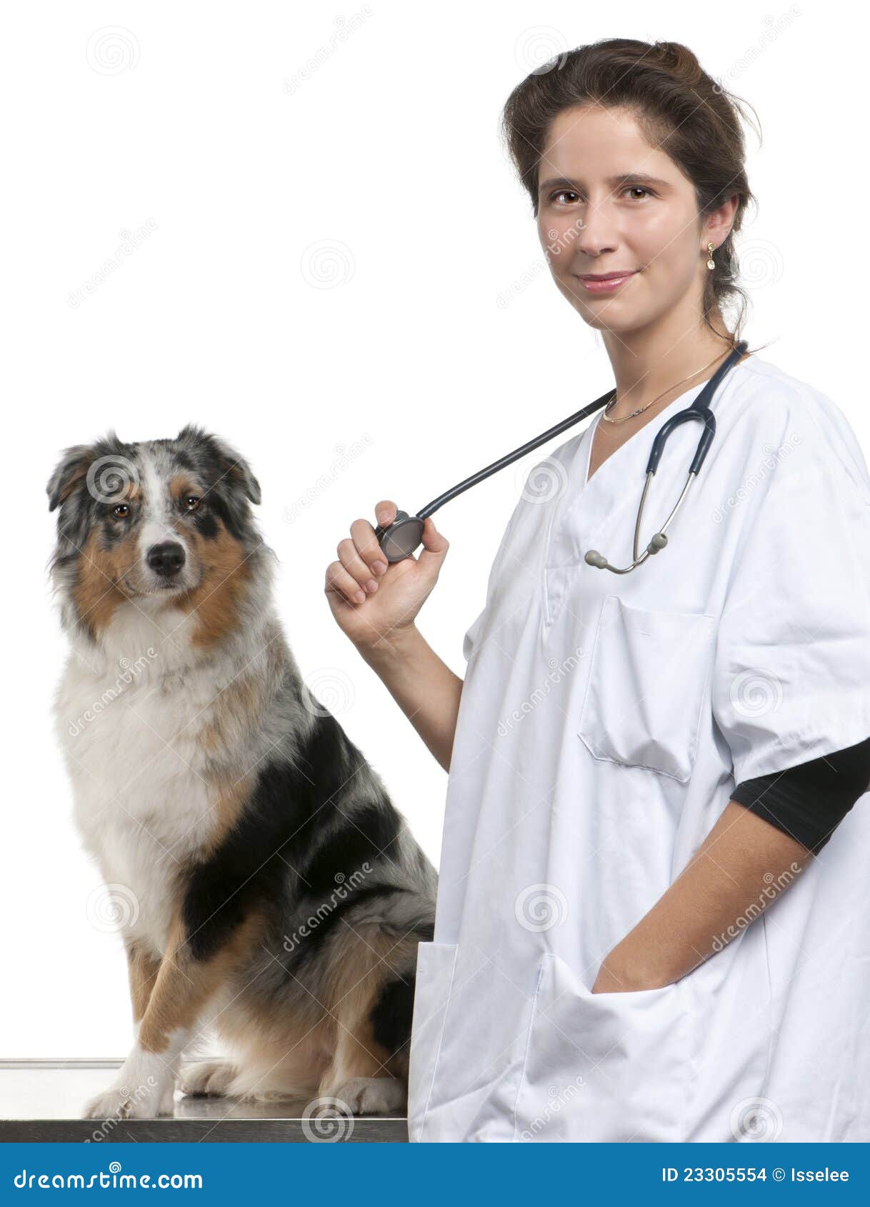 Vet Standing Next To an Australian Shepherd Stock Photo - Image of ...