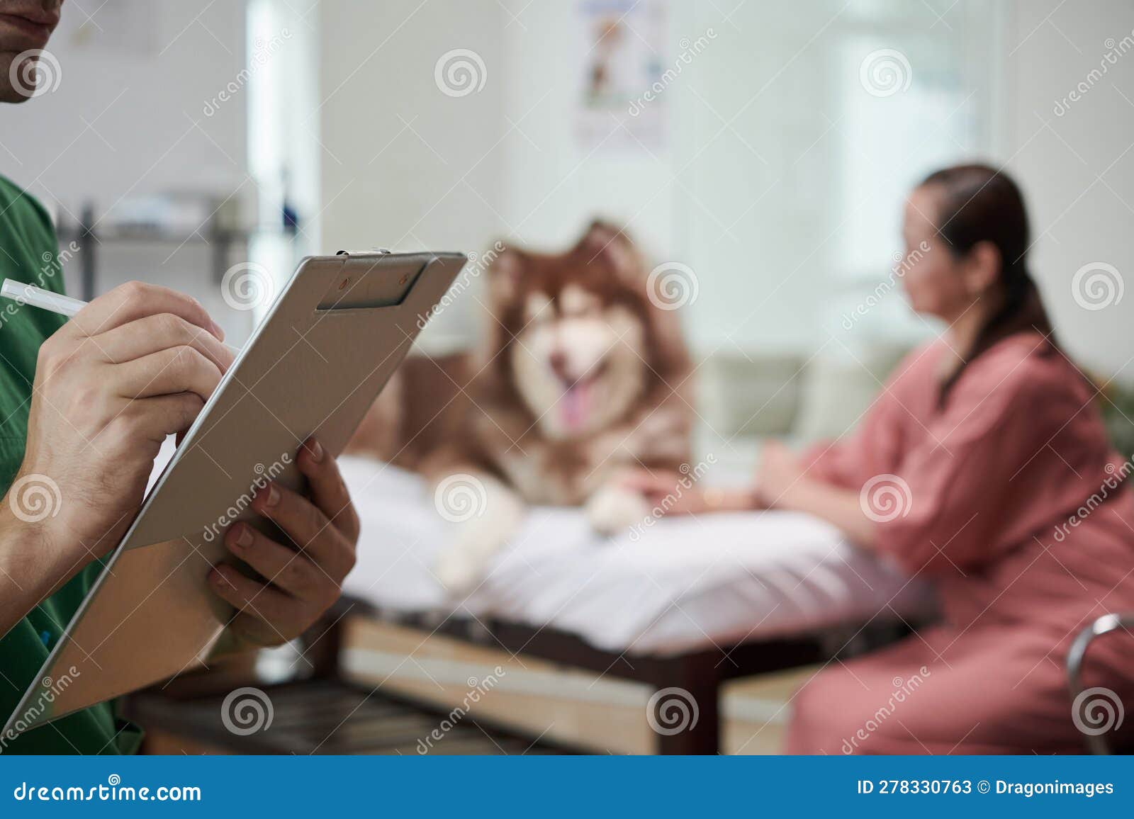 Vet Taking Notes in Document Stock Image - Image of puppy, doctor ...