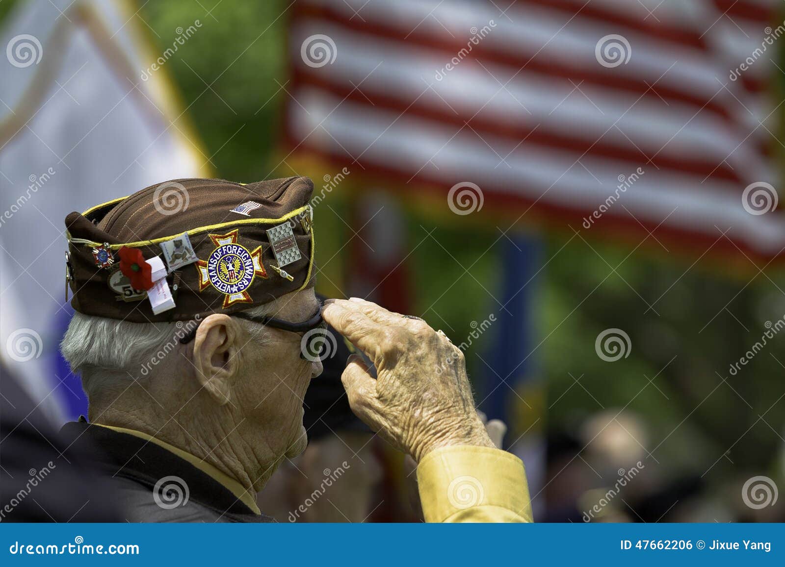 Veteraan het Groeten stock foto. Image of leger, volwassen - 47662206