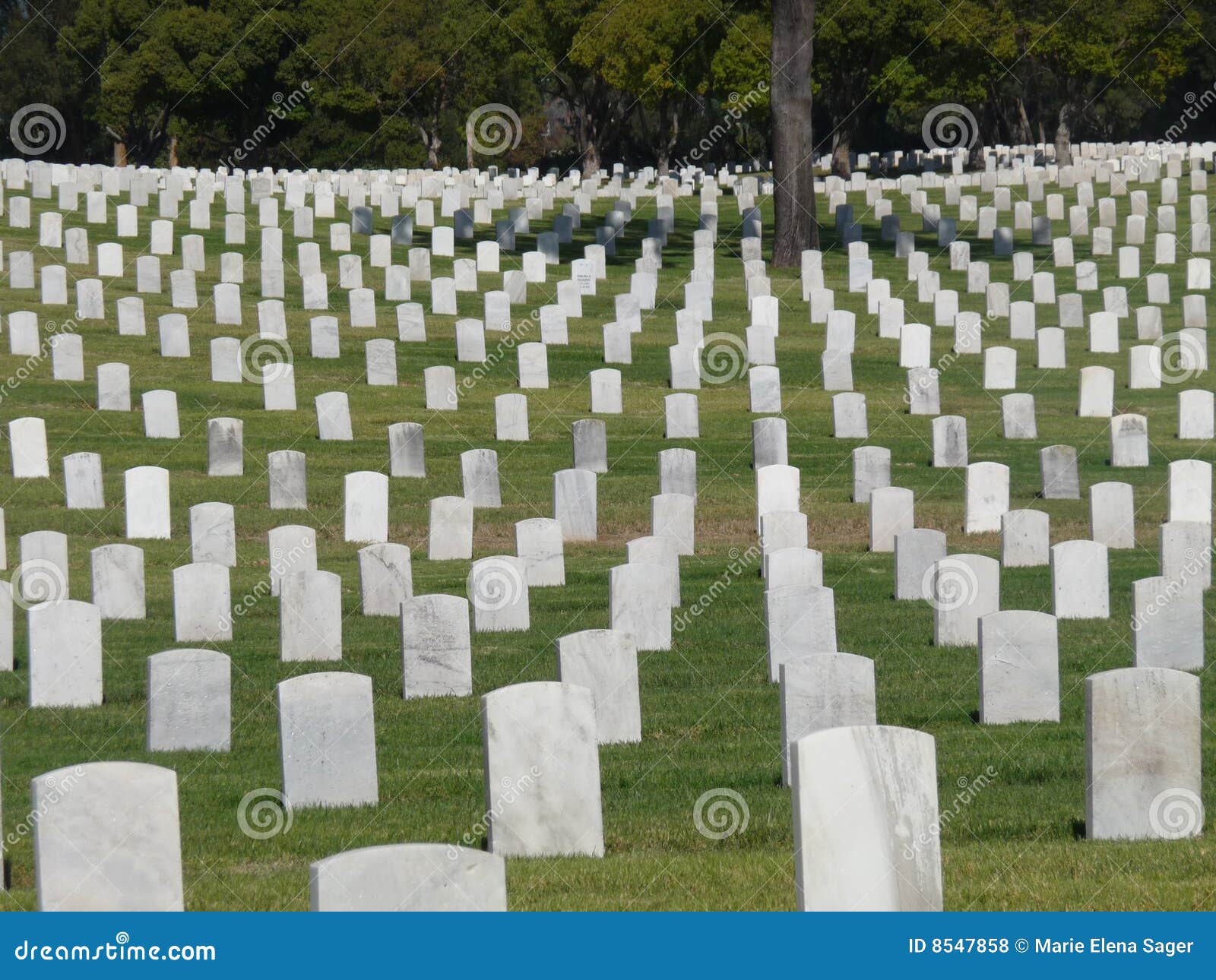 Veterans Cemetery Los Angeles Stock Photo - Image of veteran ...
