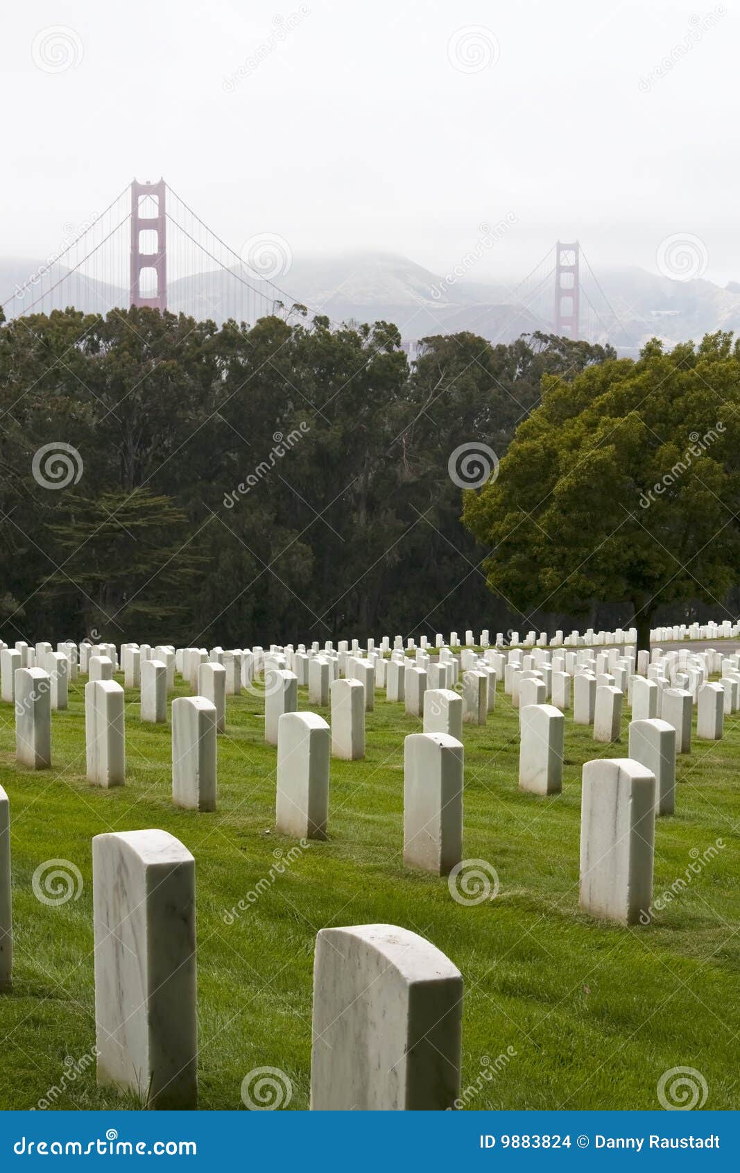 Veterans Day National Cemetery Stock Photo - Image of heaven, hill: 9883824