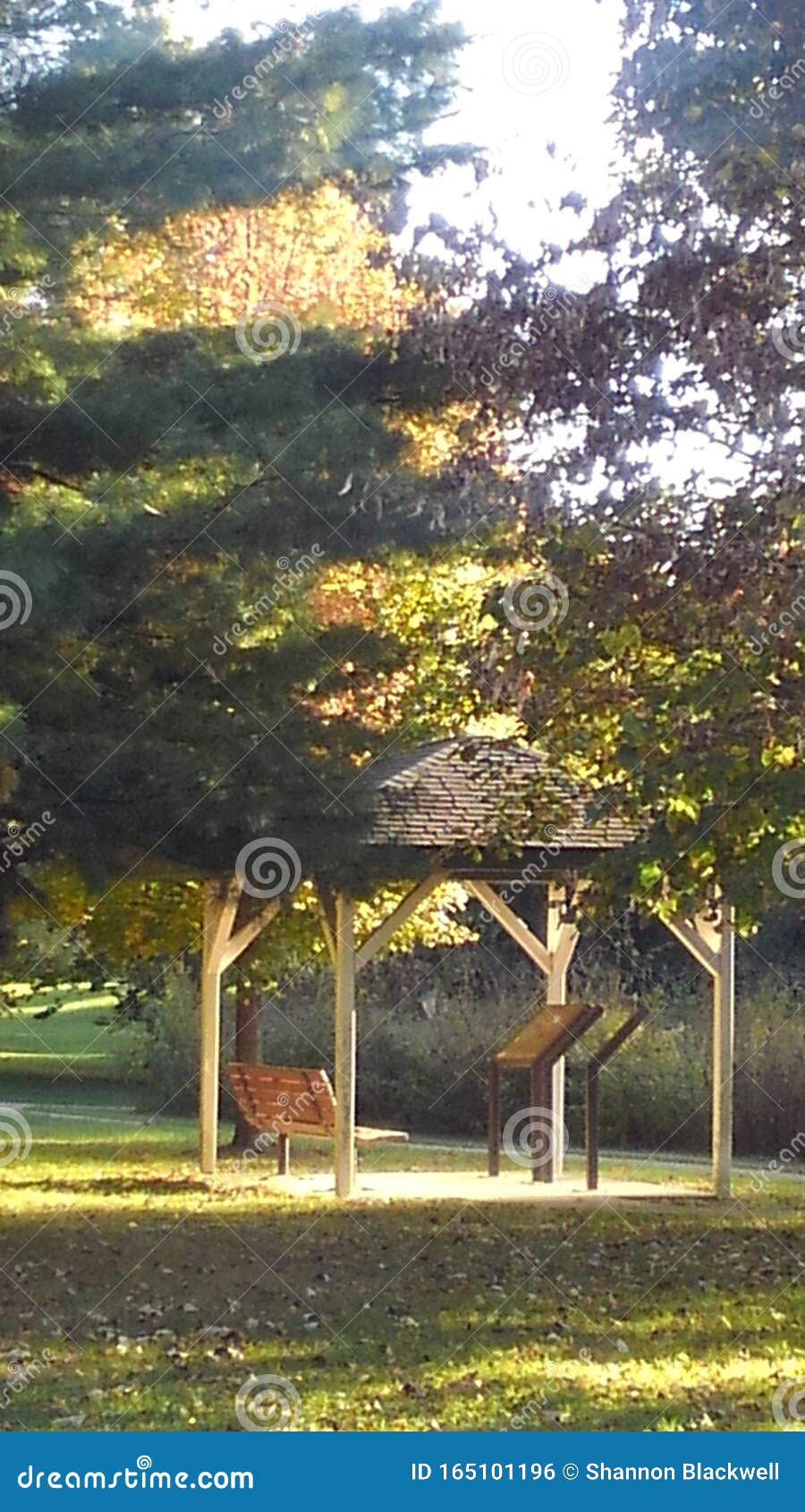Veterans Memorial Tree Park Stock Photo - Image of park, tree: 165101196