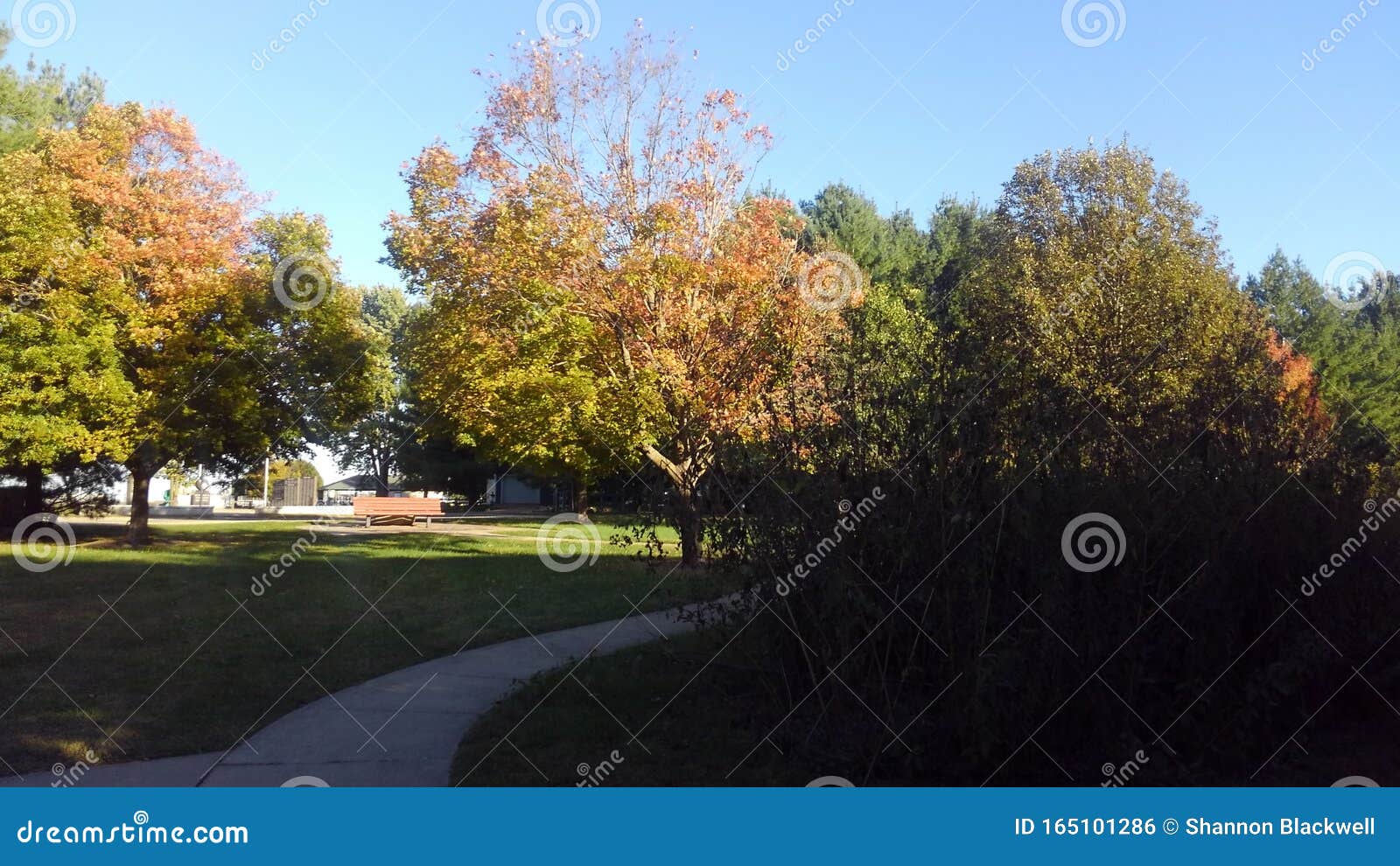 Veterans Memorial Tree Park Stock Photo - Image of park, memorial ...