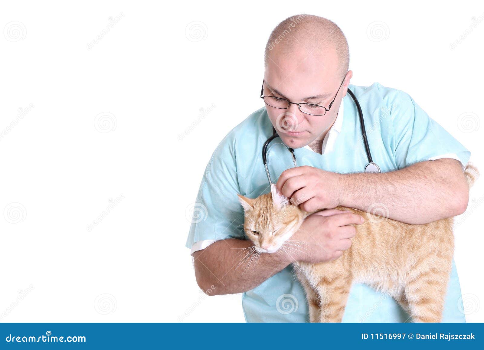 Veterinarian stock image. Image of medic, animal, medical - 11516997