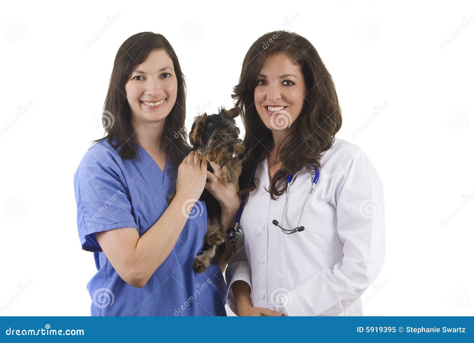 Veterinarian stock image. Image of health, expression - 5919395