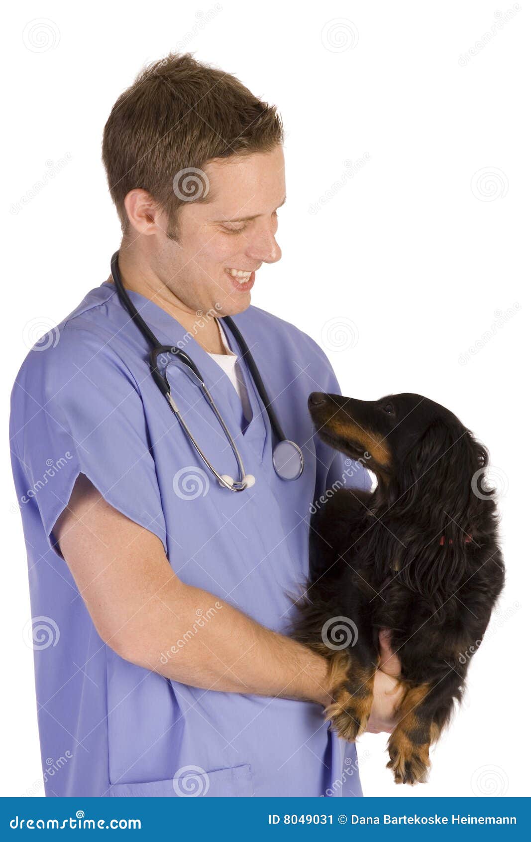 Veterinarian stock image. Image of compassion, healthcare - 8049031