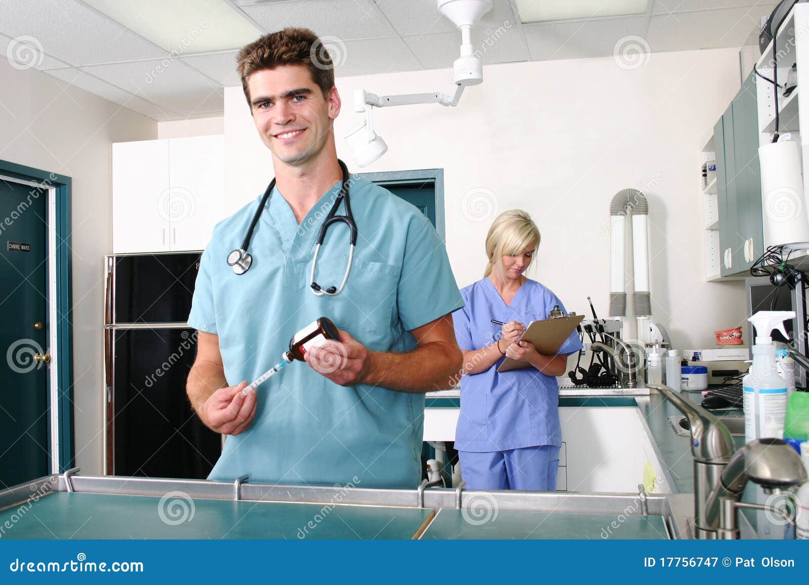 Veterinarian and Assistant Preparing for Surgery Stock Image - Image of ...