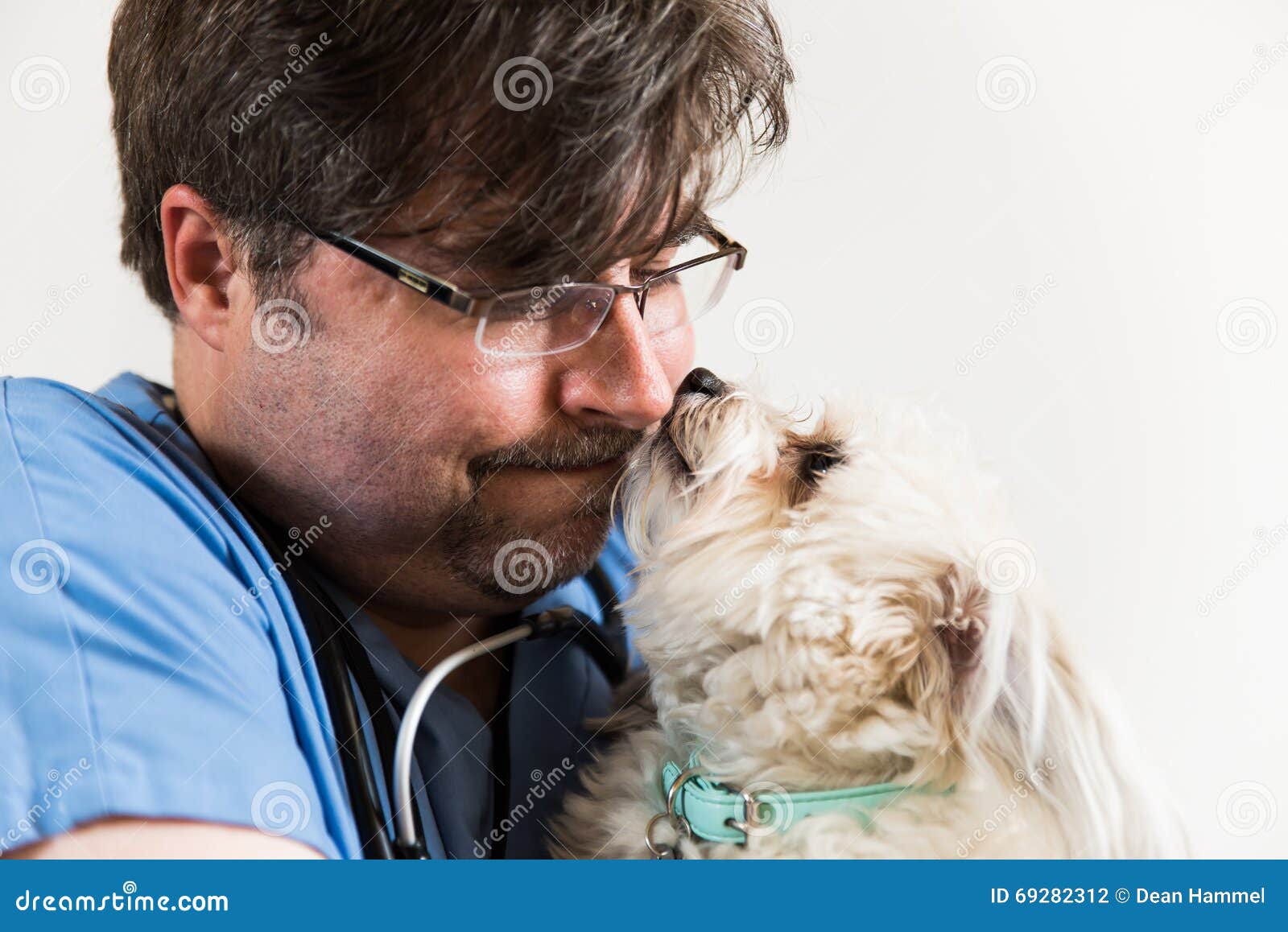 Veterinarian Caring for Dog Stock Photo - Image of veterinarian, doctor ...