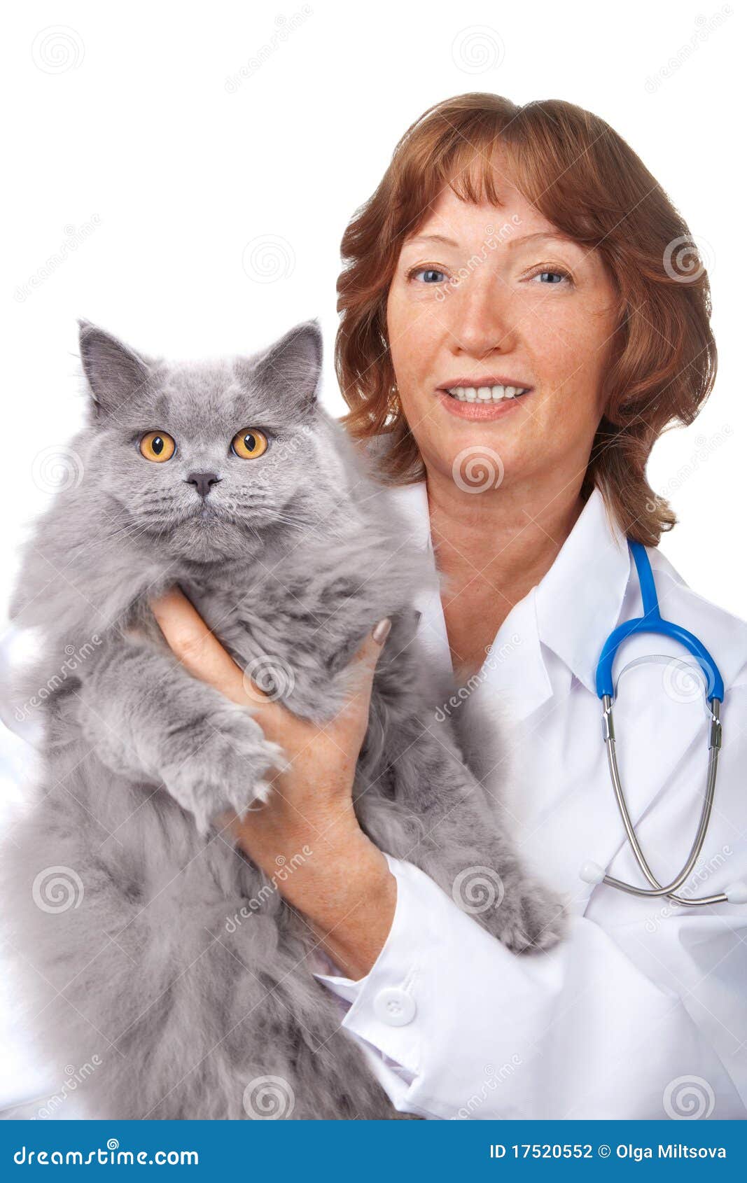 Veterinarian with Cat Isolated Stock Photo - Image of emergency ...