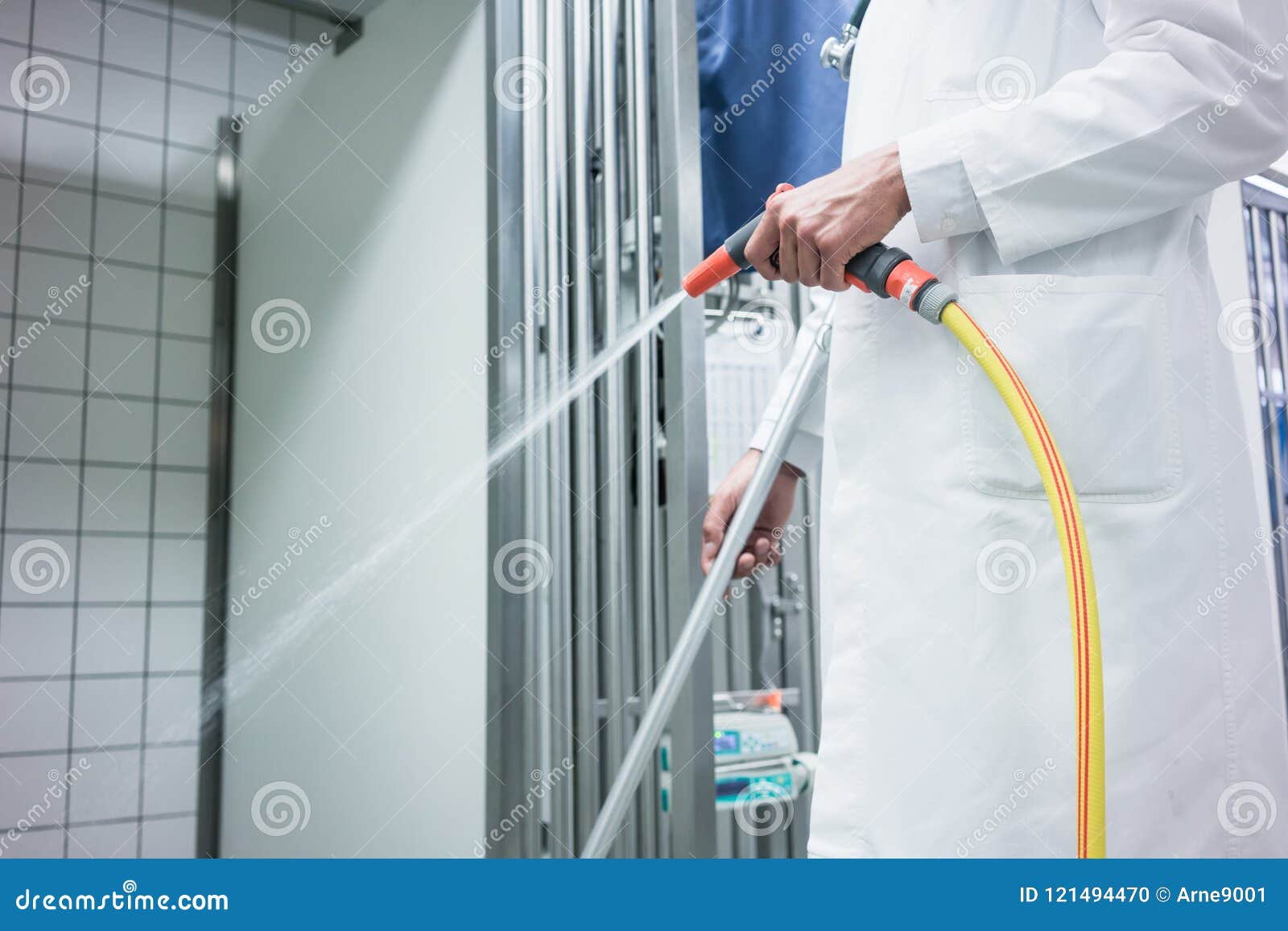 Veterinarian Cleaning Cage for Animals in Surgery Stock Photo - Image ...