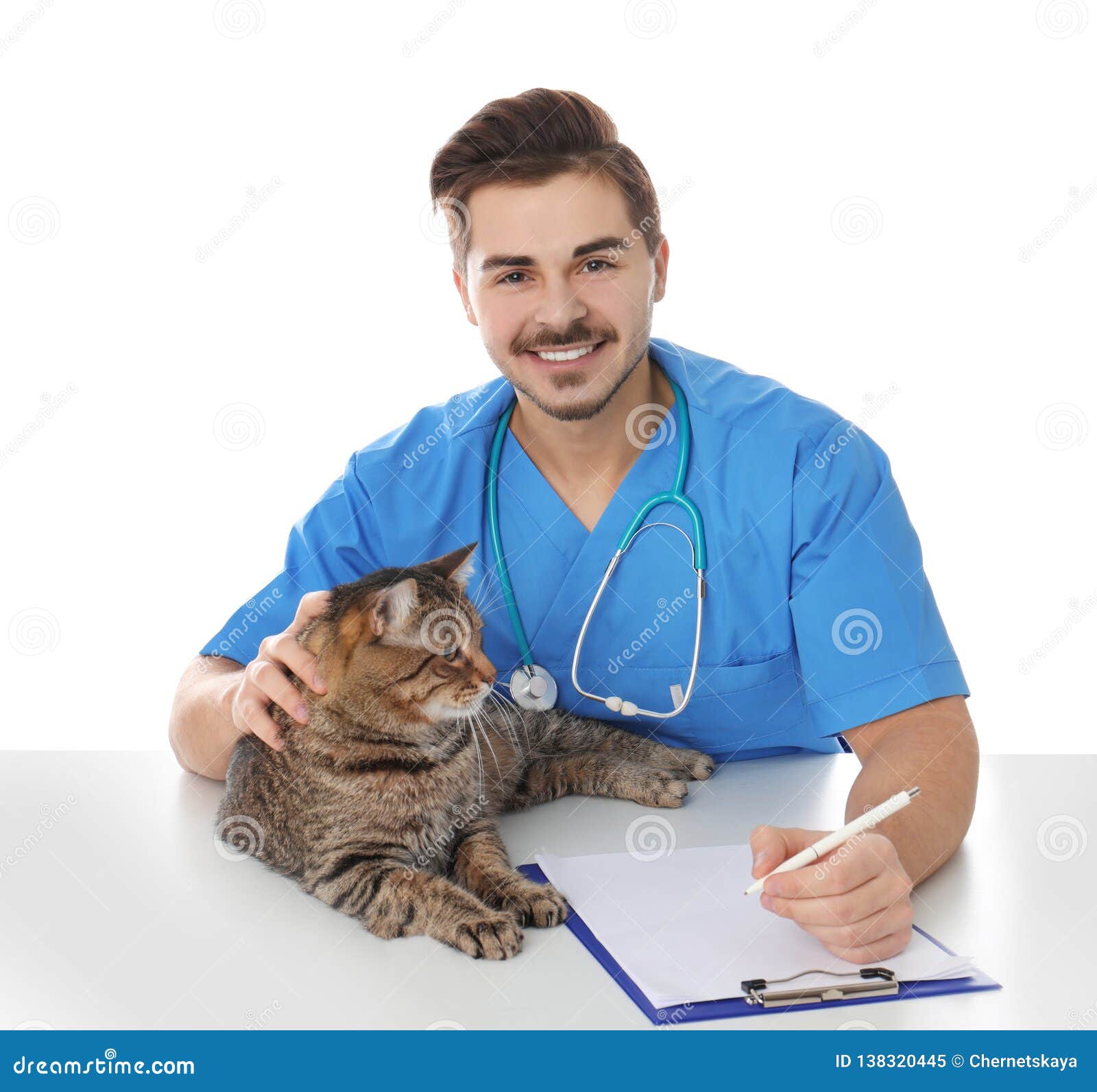 Veterinarian Doc with Cat on White Stock Image - Image of care ...