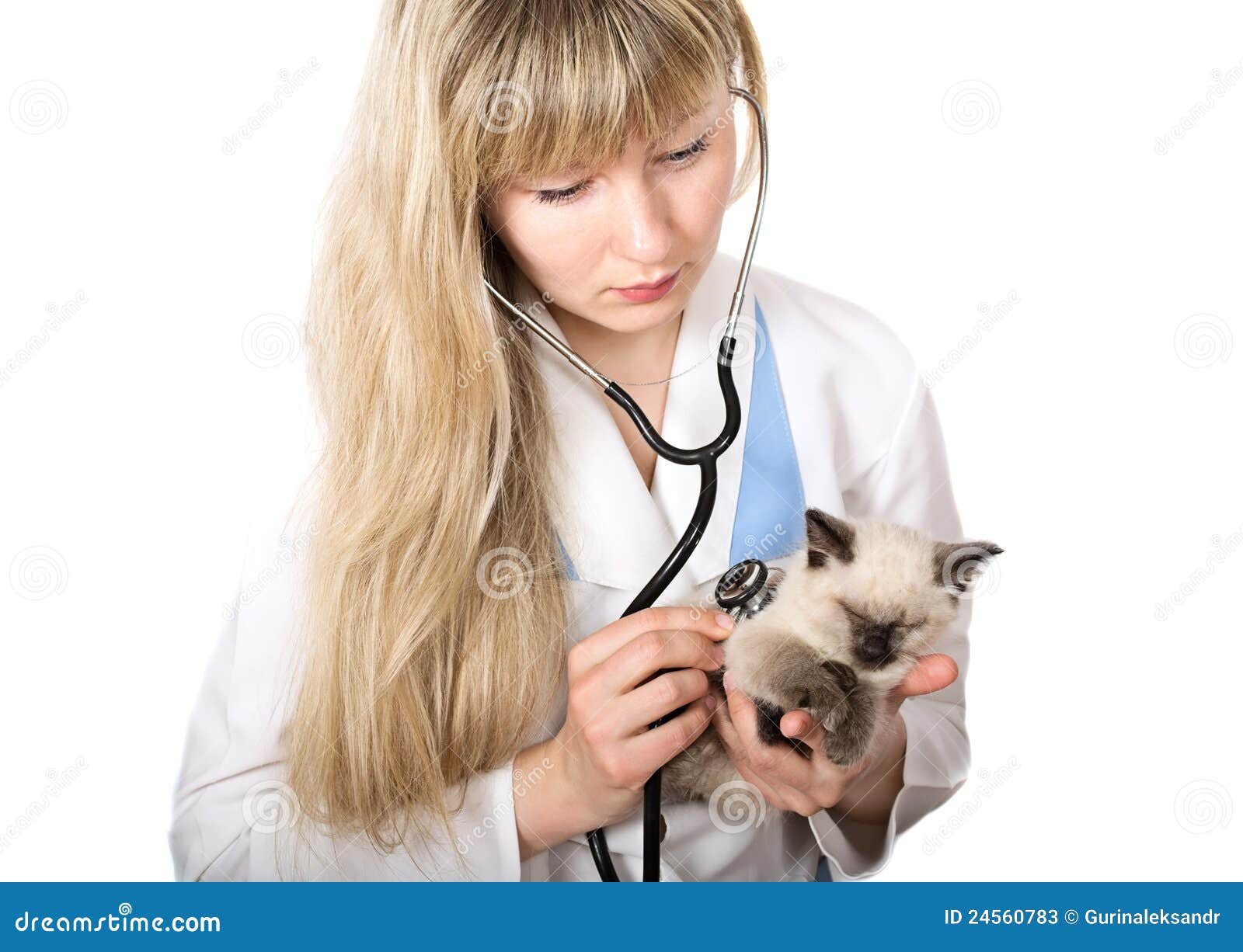 Veterinarian doctor stock image. Image of pets, beautiful - 24560783