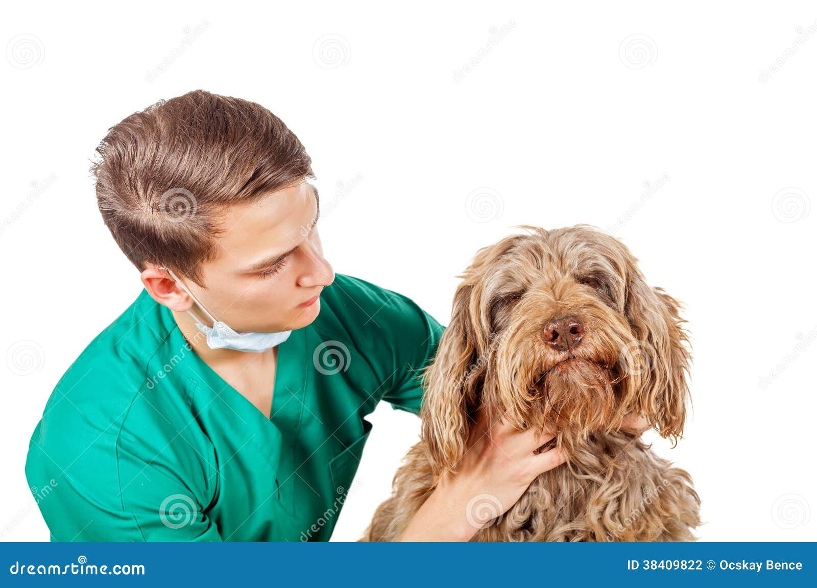 Veterinarian doctor stock photo. Image of handsome, male - 38409822