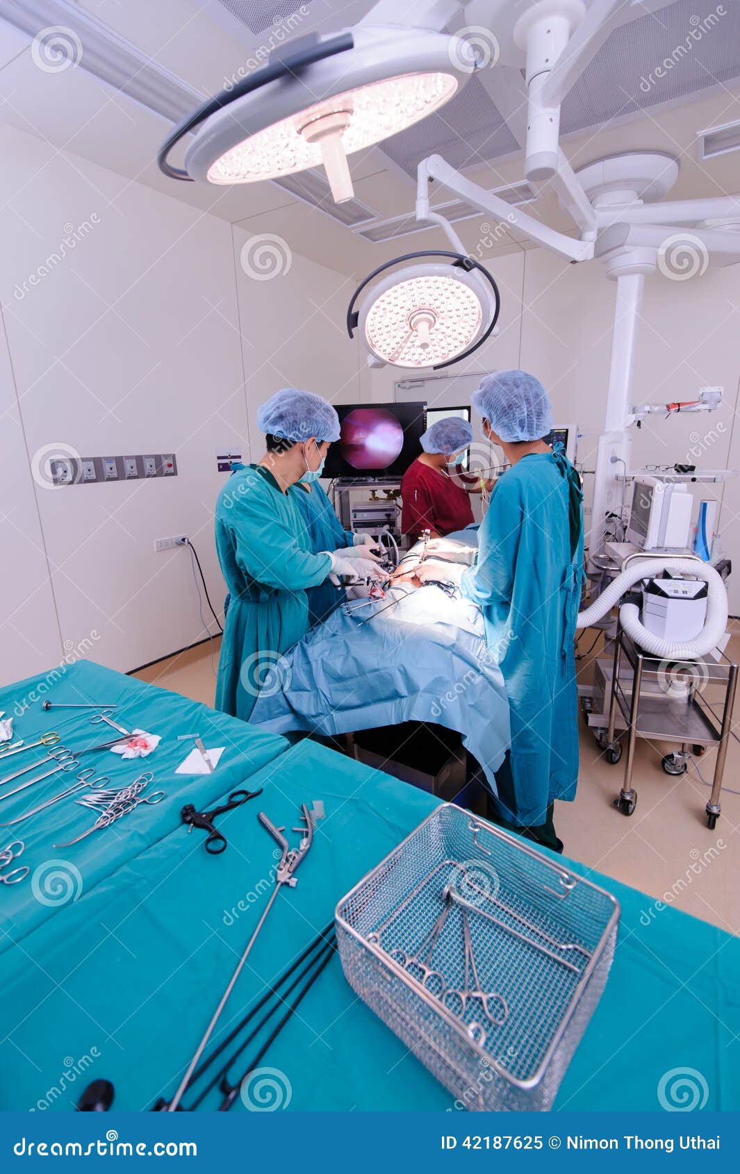 Veterinarian Doctor in Operation Room Stock Image - Image of clinic ...