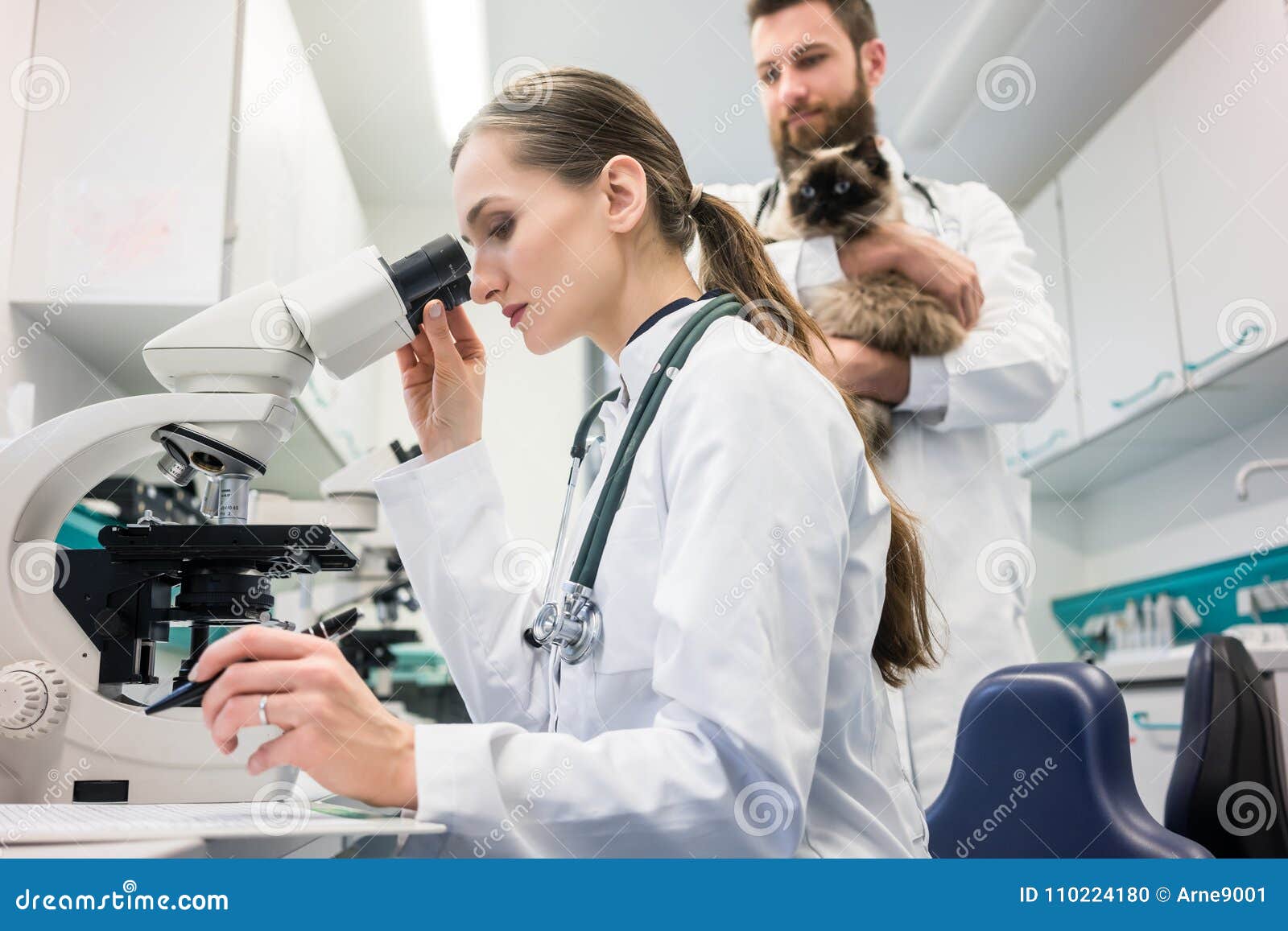 Laboratory Under Microscope Analysis Royalty-Free Stock Photo ...