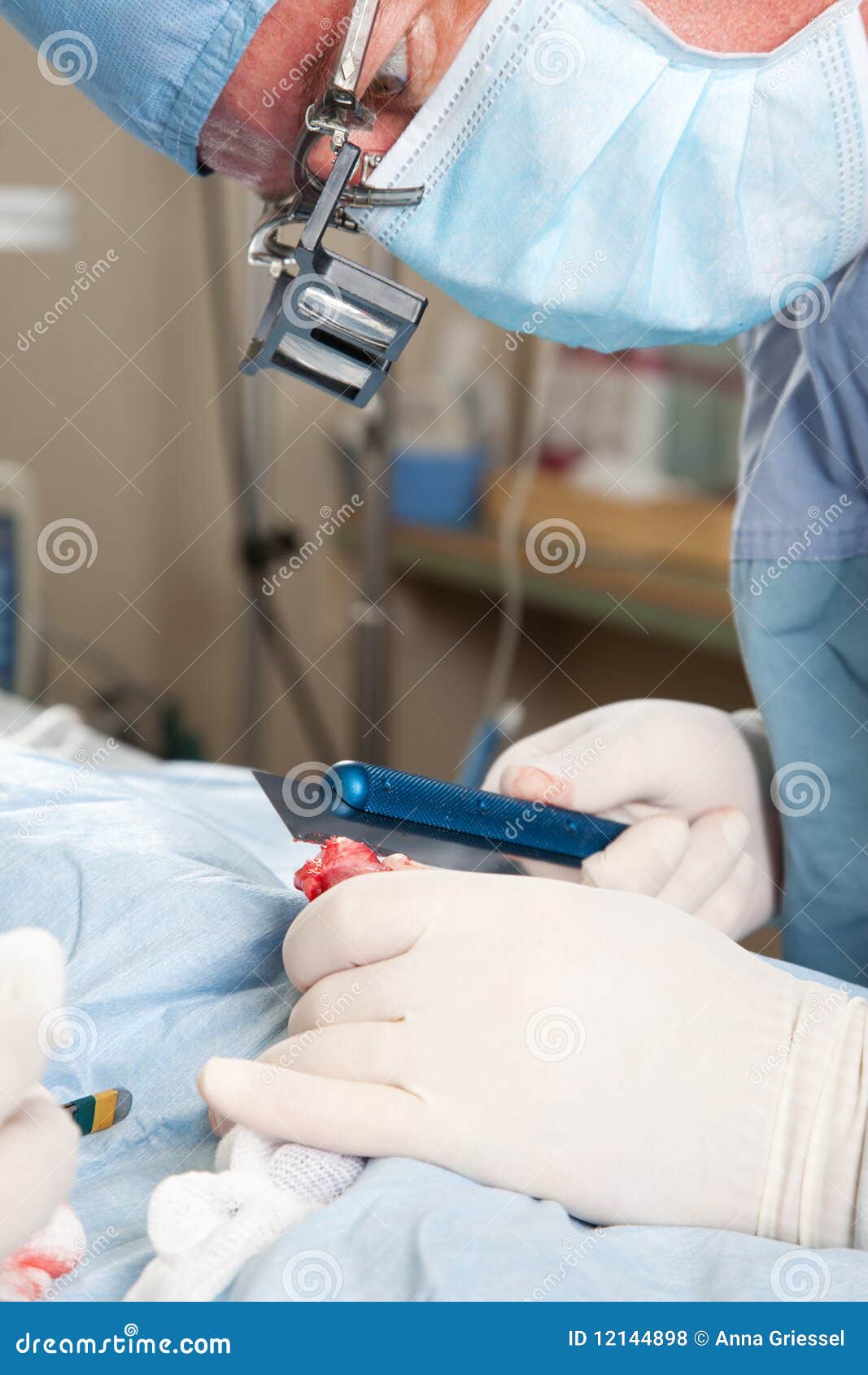 Veterinarian Doing Knee Surgery on Small Dog Stock Photo - Image of ...