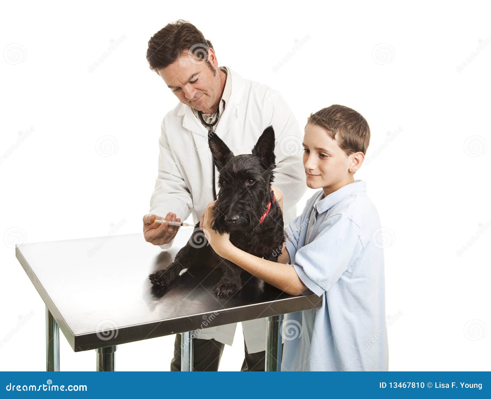 Veterinarian and Helper stock photo. Image of coat, office - 13467810
