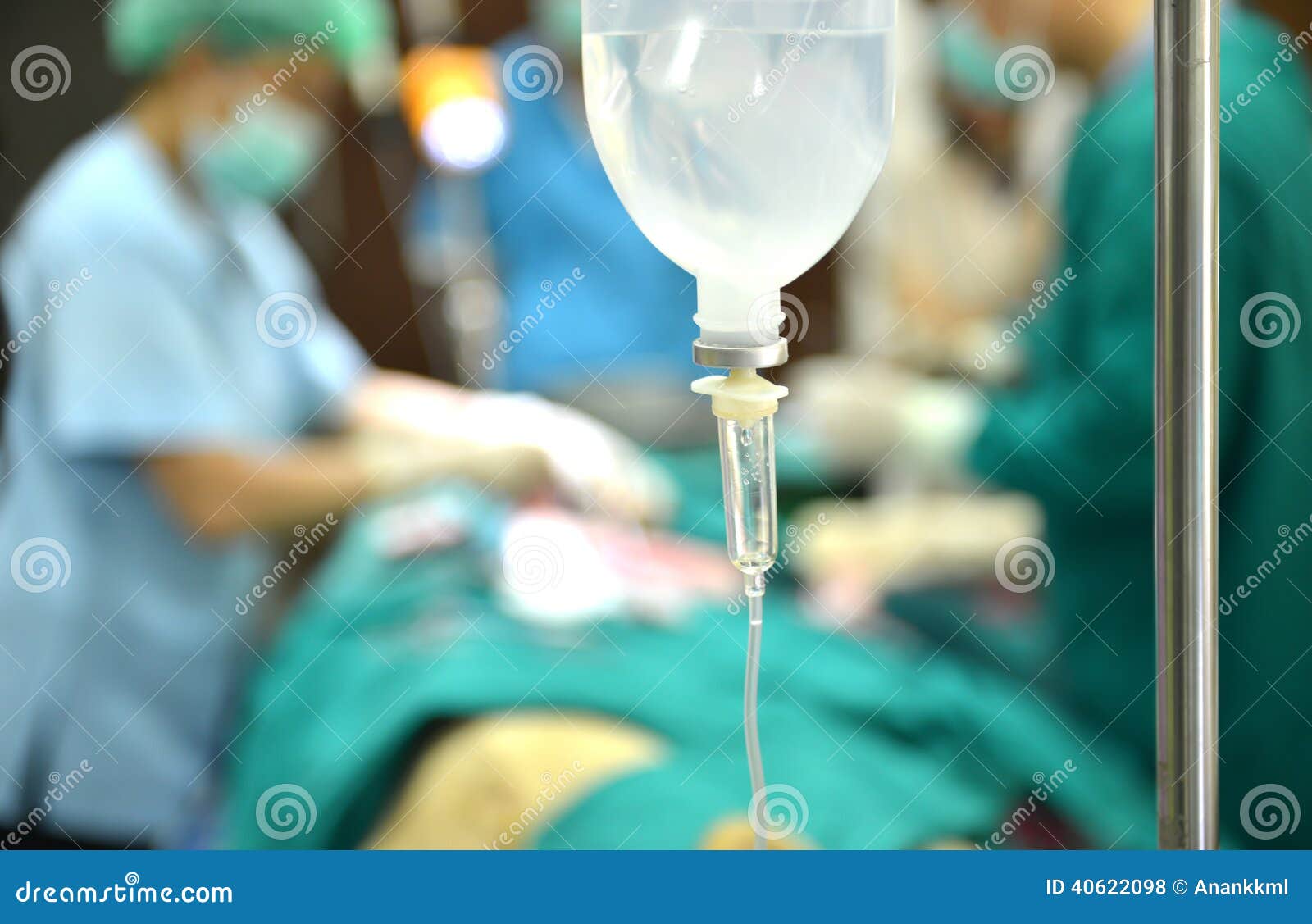 Veterinarian Performing an Operation on a Lion Stock Photo - Image of ...