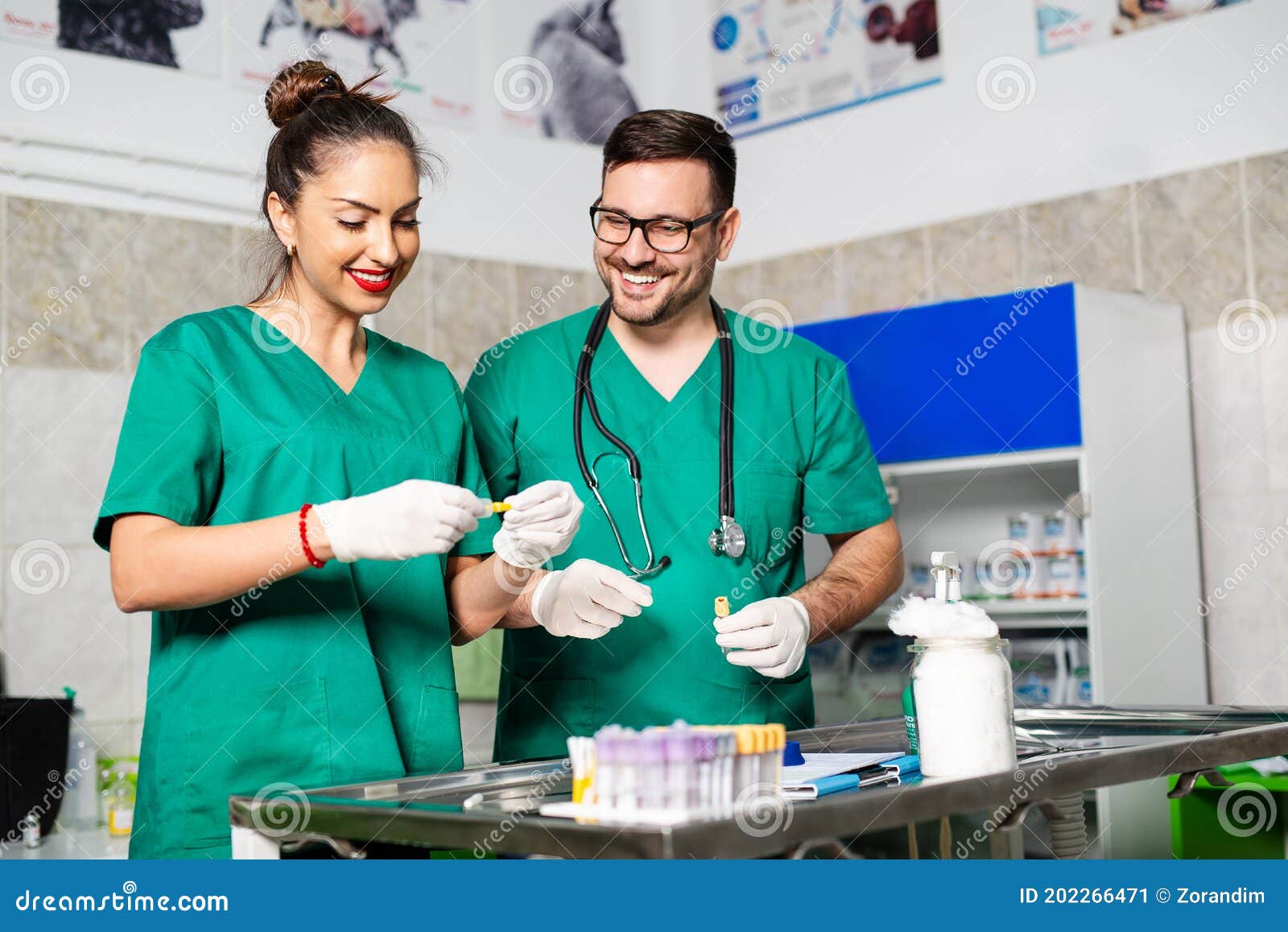 Veterinarian Preparing Injection for Dogs. Stock Image - Image of ...