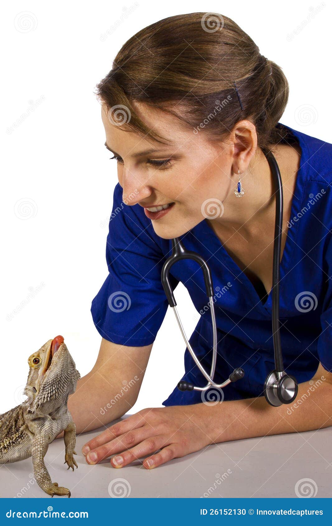 Veterinarian with a Reptile Stock Photo - Image of health, pagona: 26152130