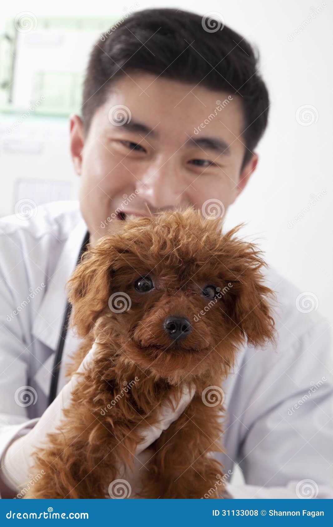 Veterinarian Smiling and Holding Dog in Office Stock Photo - Image of ...