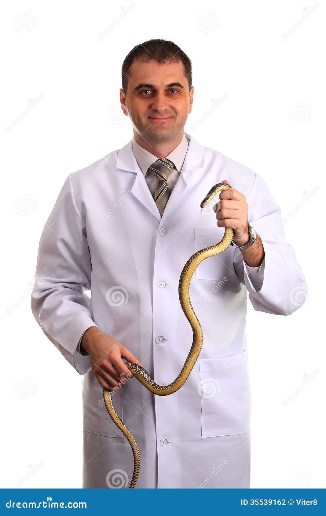 Veterinarian with a Snake in His Hands Stock Photo - Image of uniform ...